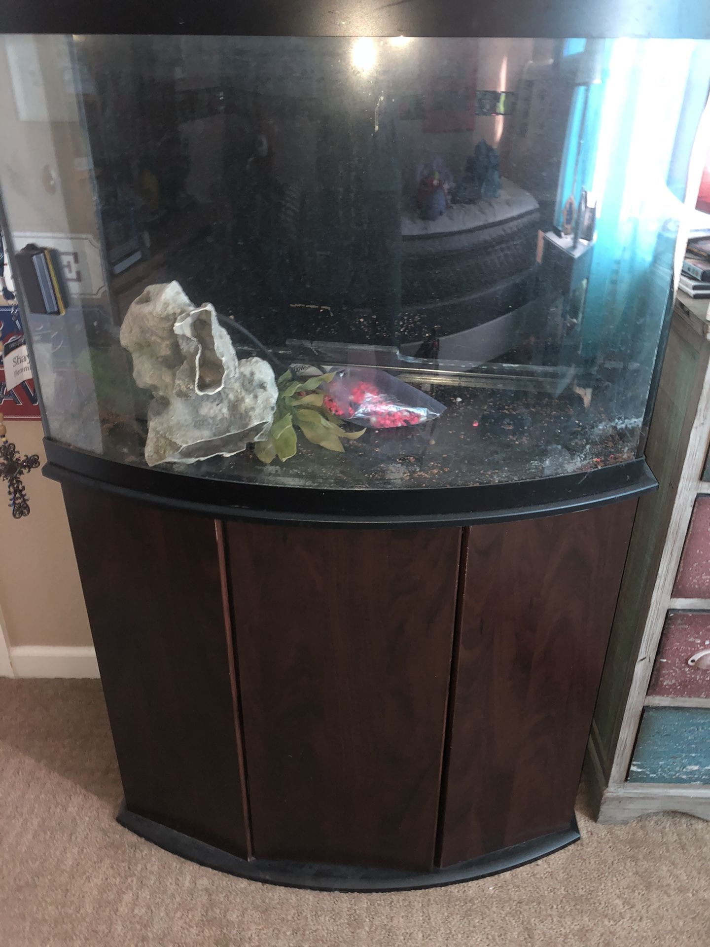Bow front fish tank and stand for Sale in Aurora, CO - OfferUp