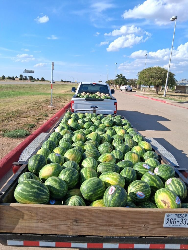 Watermelon for Sale in Pasadena, TX - OfferUp