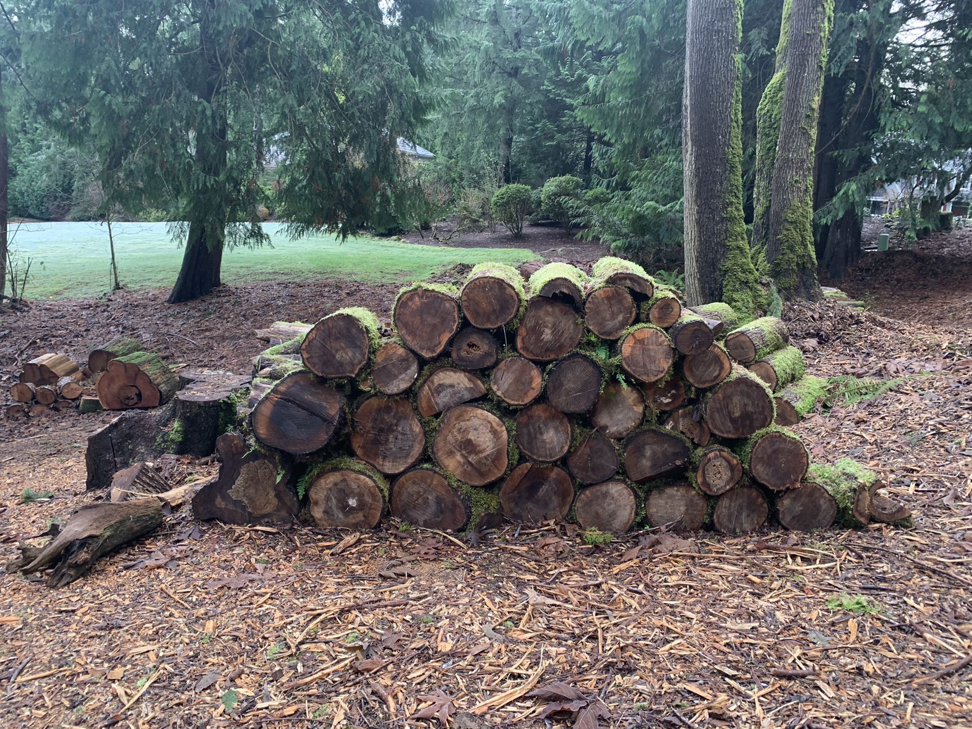 Firewood - Cedar & Maple for Sale in Issaquah, WA - OfferUp