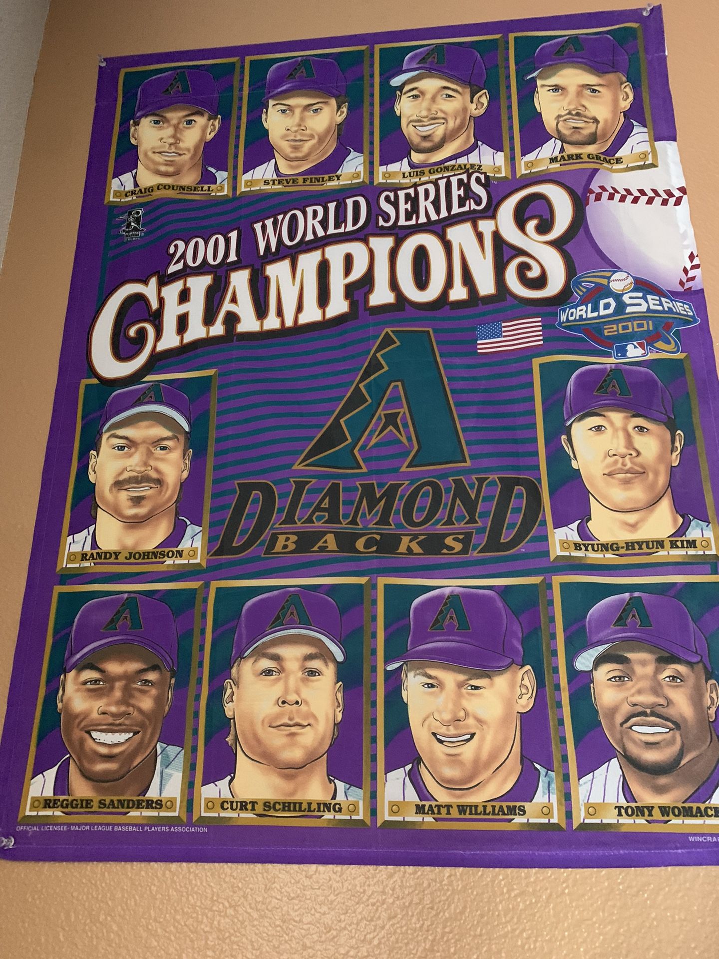 Arizona Diamondbacks Flag Display Poster for Sale in Sun City, AZ - OfferUp