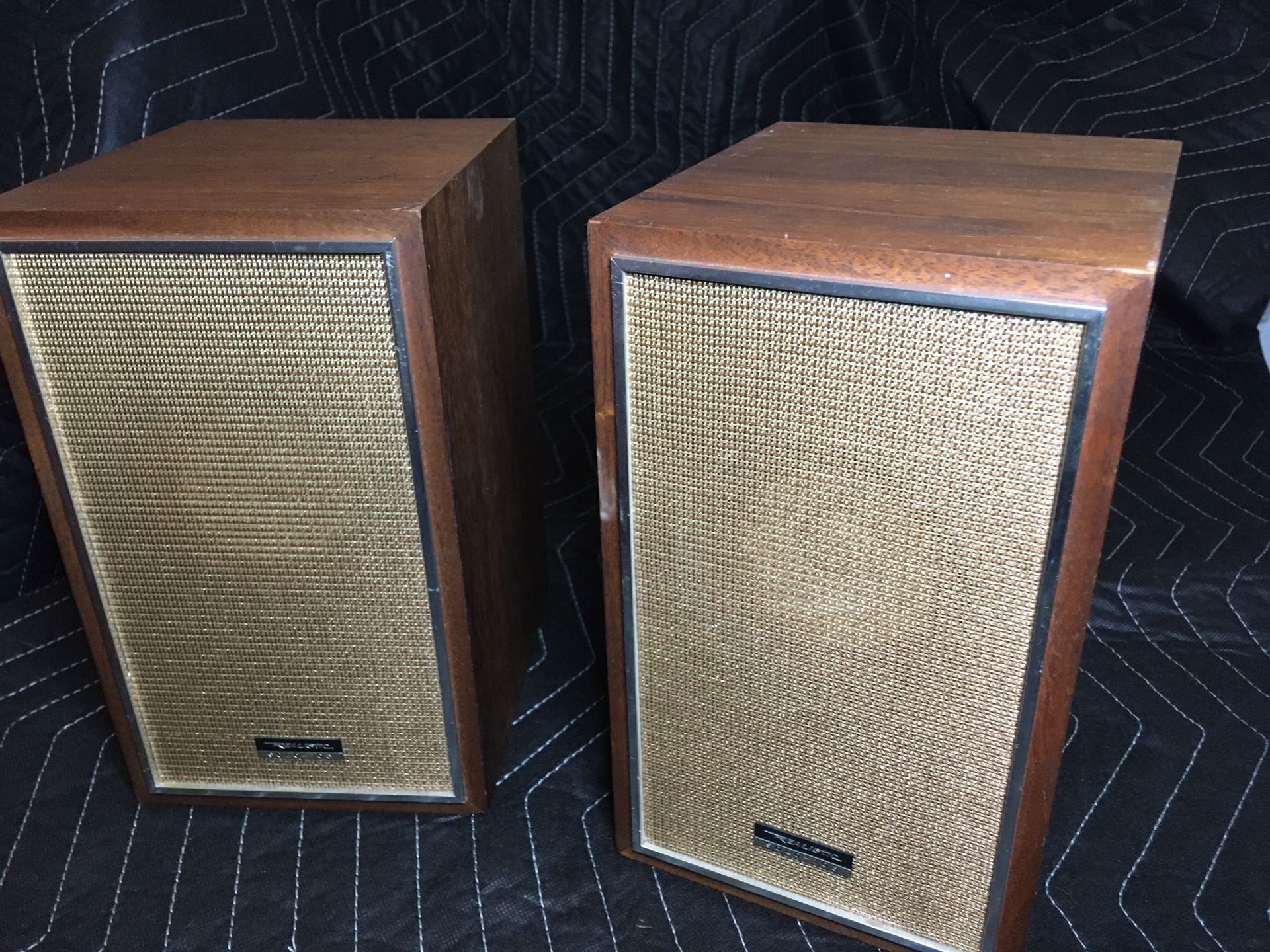 Vintage Realistic Speakers