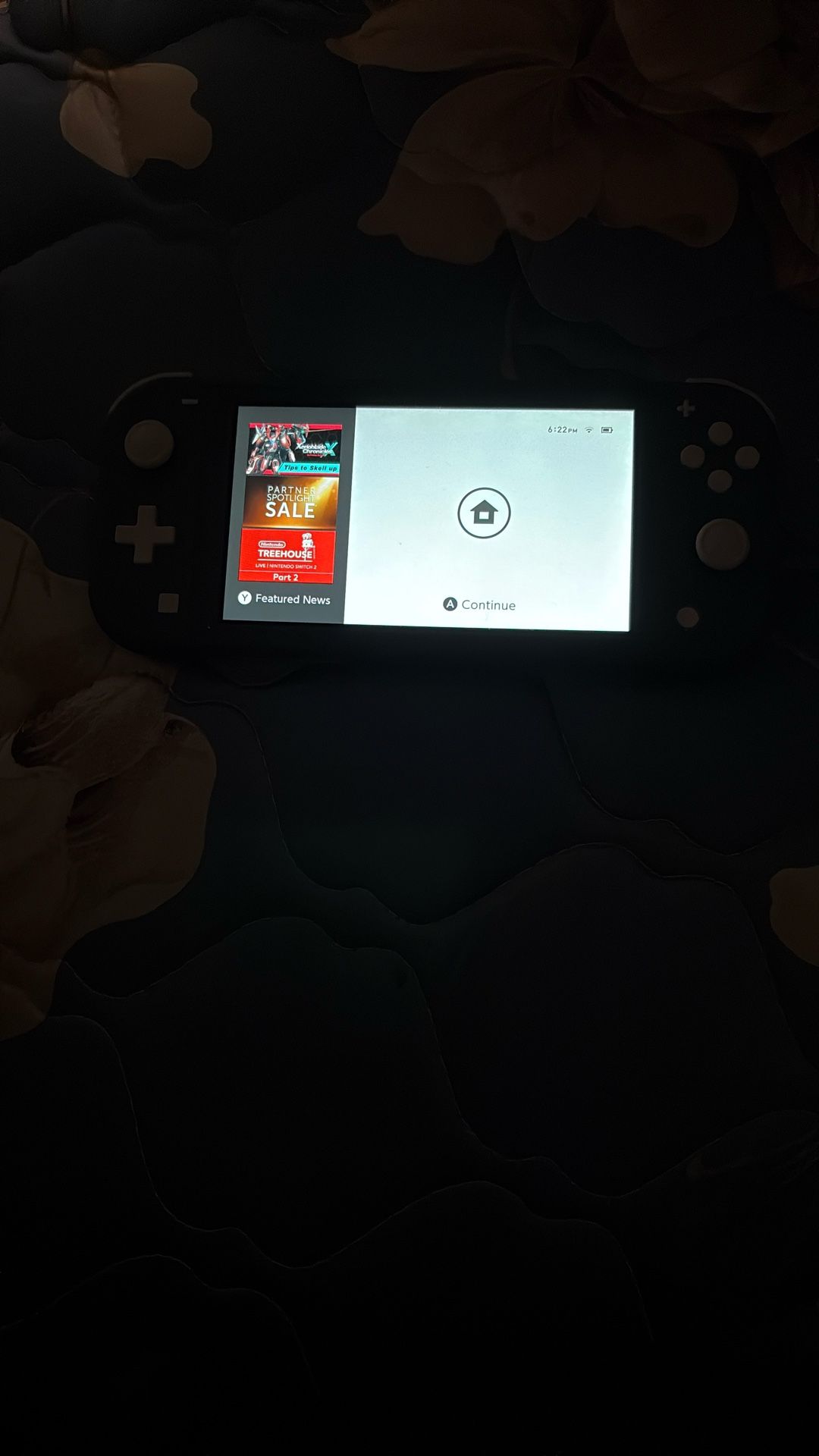 Black Nintendo Switch Light for Sale in Leicester, MA - OfferUp