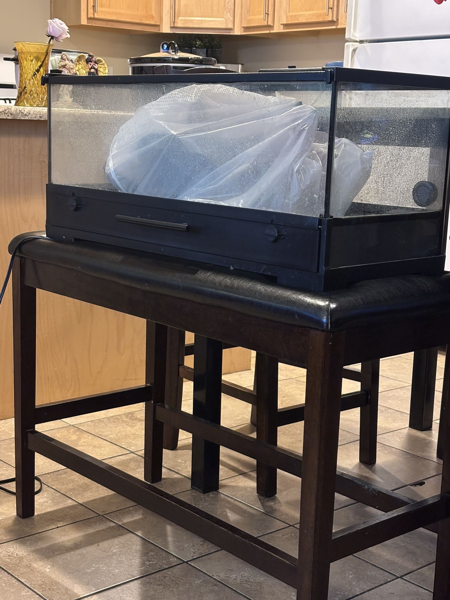 25 Gal Heated Reptile Terrarium With Decor for Sale in Henderson, NV ...