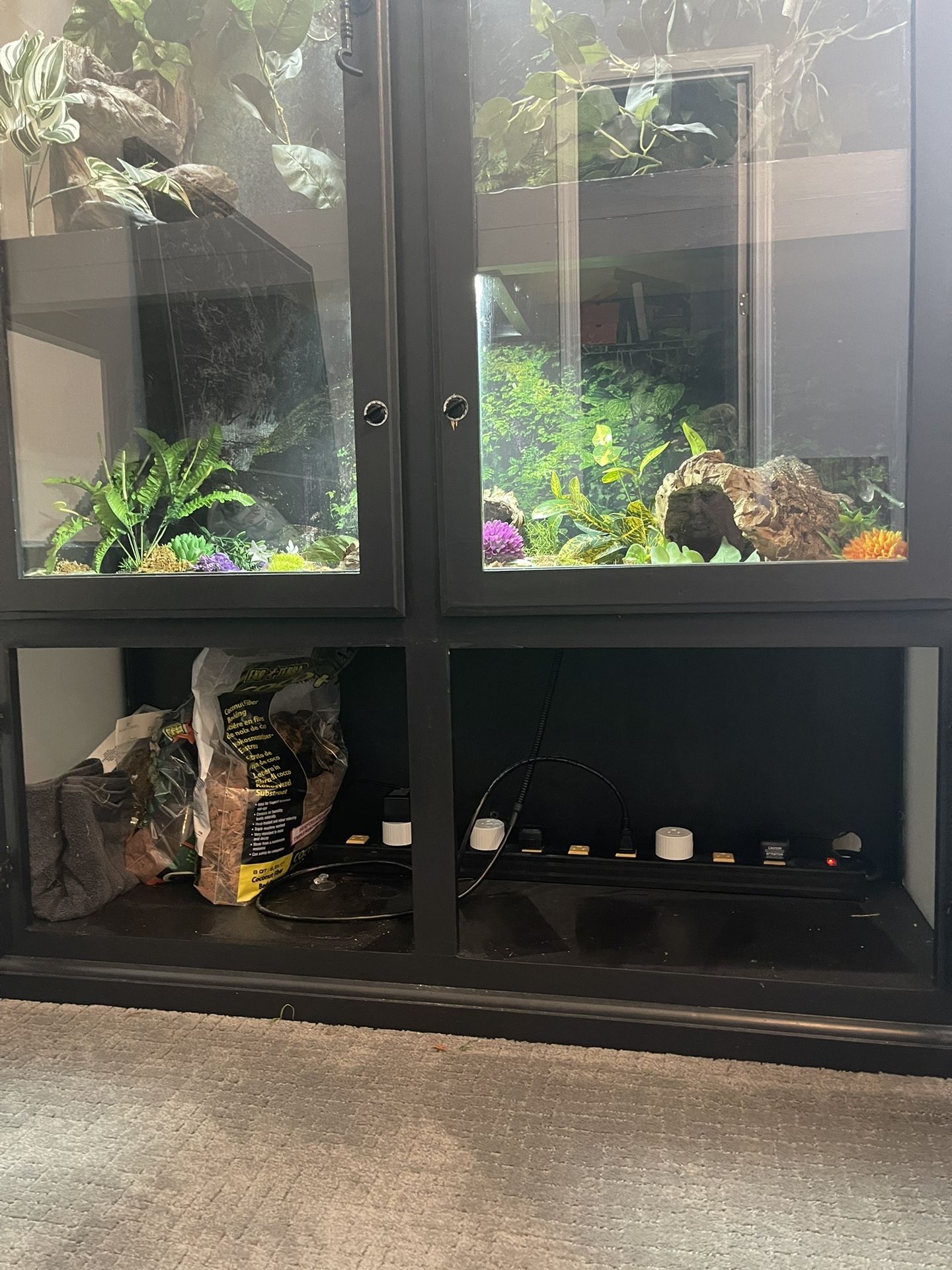 Terrarium Habitat - 2 Separate Sections for Sale in Las Vegas, NV - OfferUp