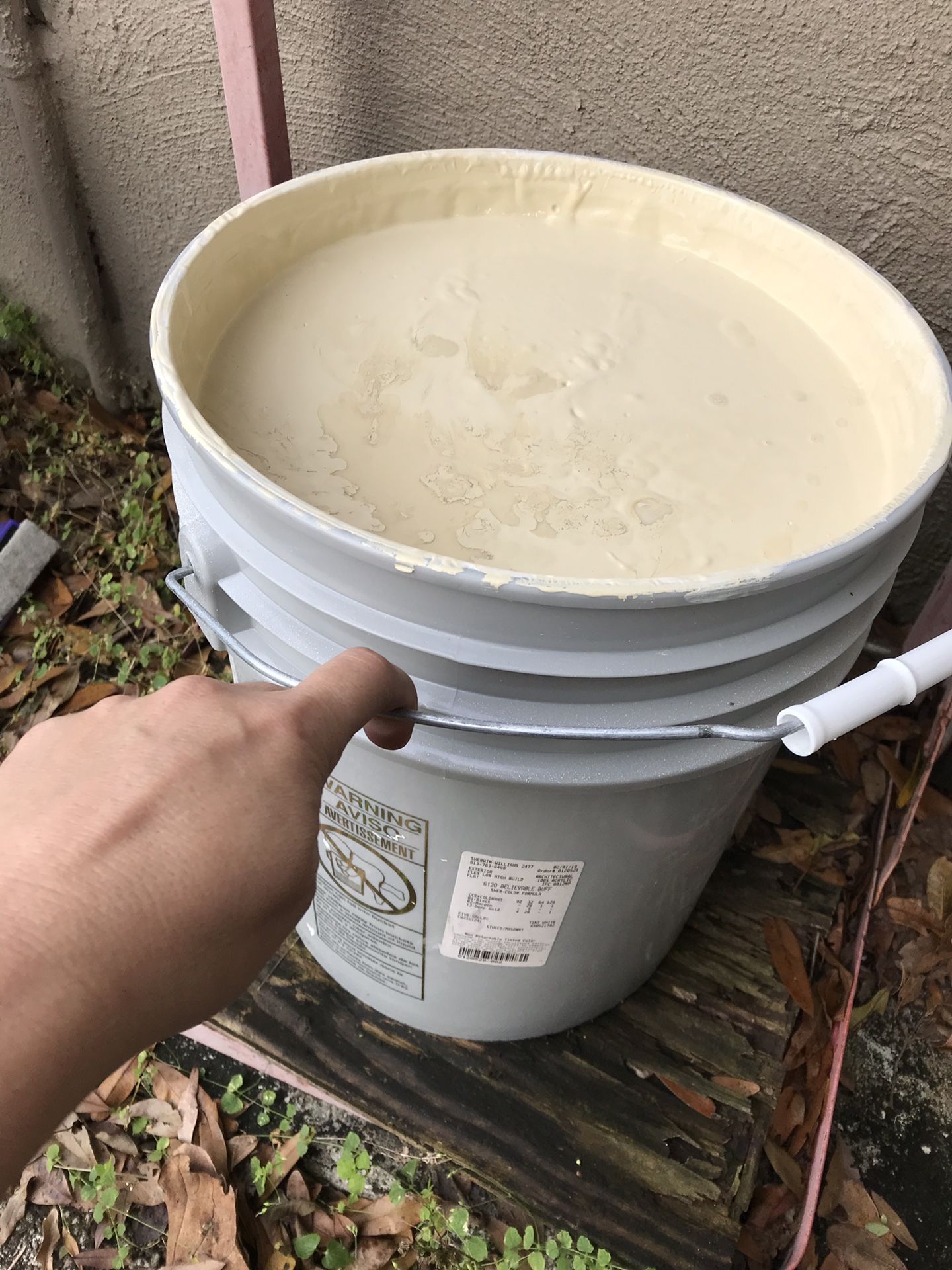 Believable Buff Sherwin Williams