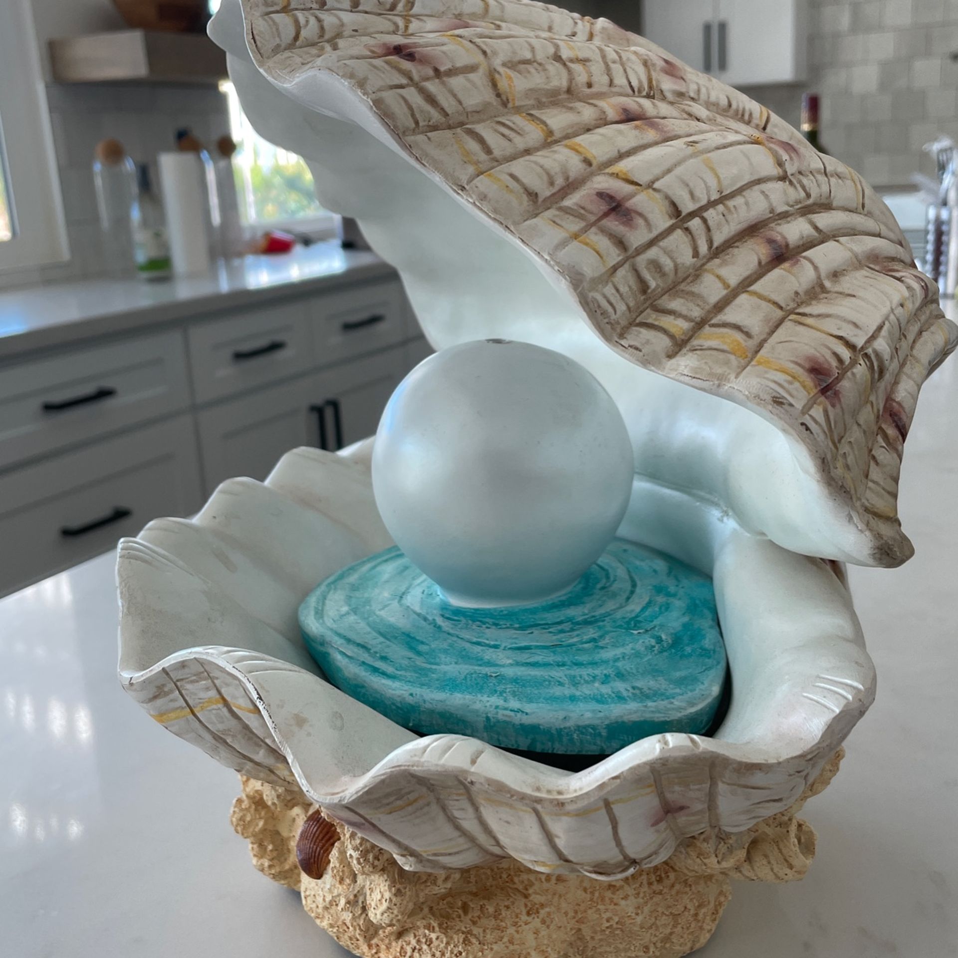 Clam Shell With Pearl