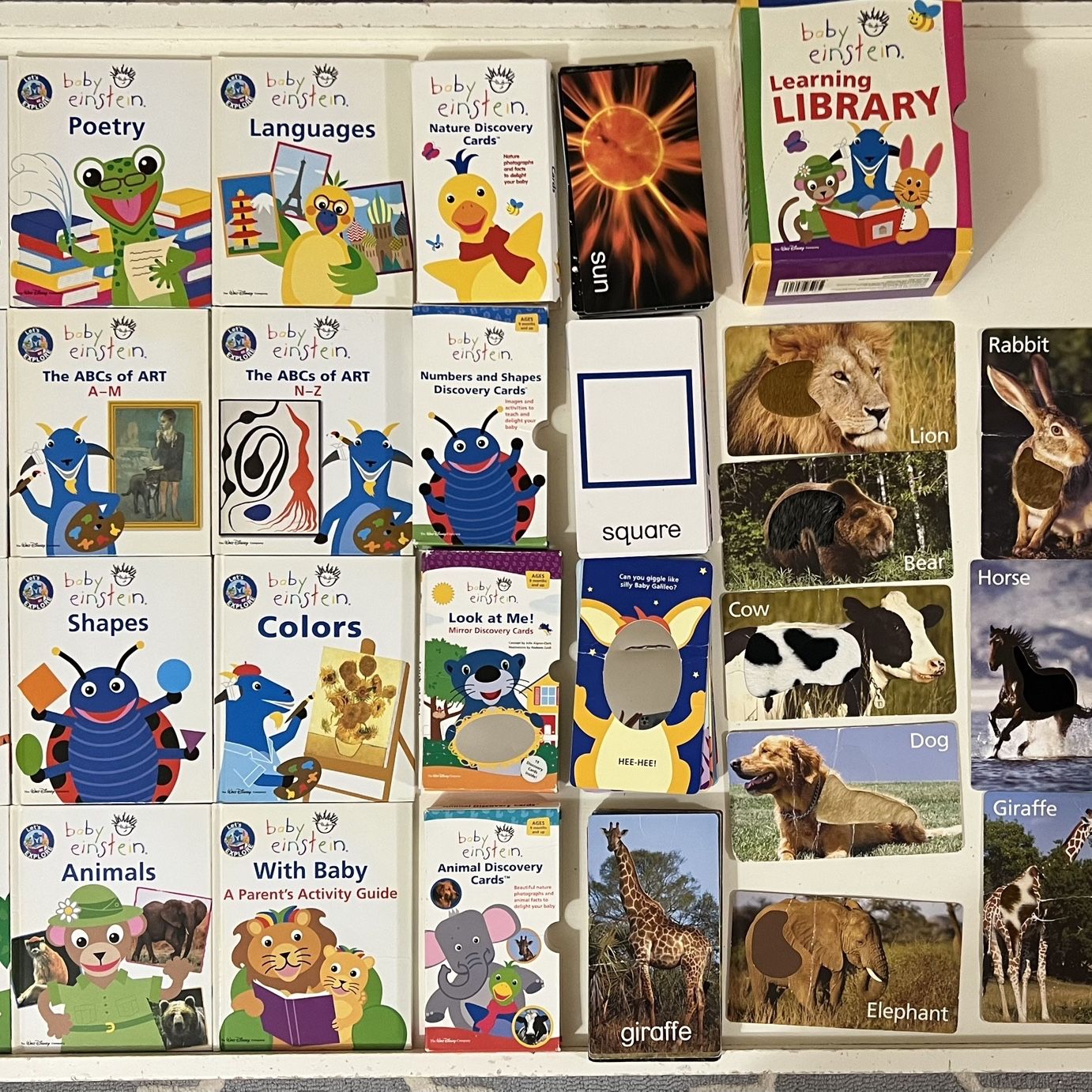 Baby Einstein Numbers And Shapes Discovery Cards