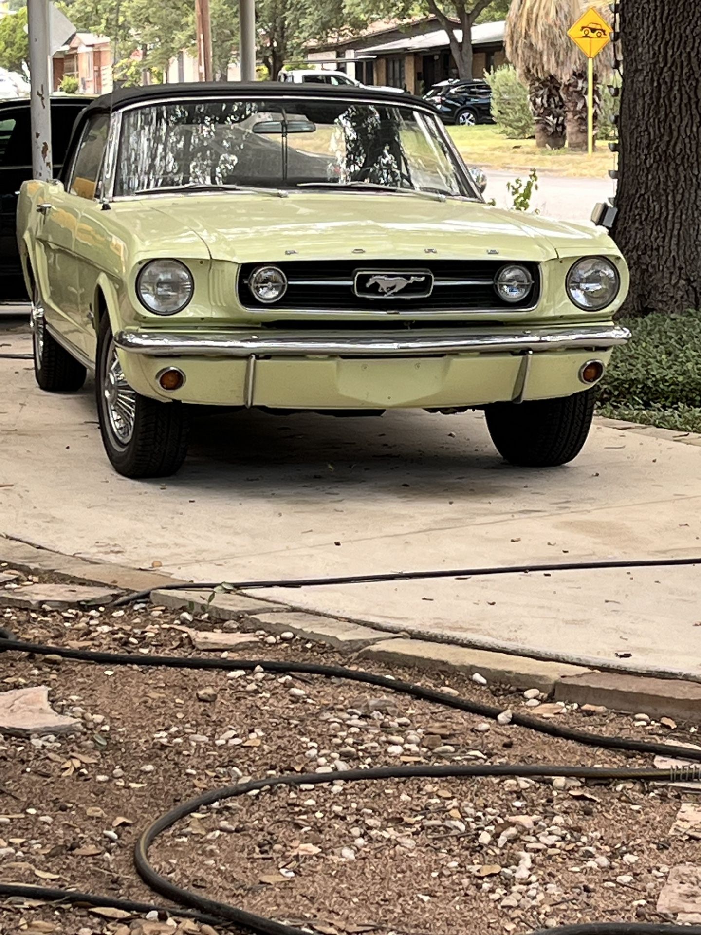 1966 Ford Mustang for Sale in Alamo Heights, TX - OfferUp