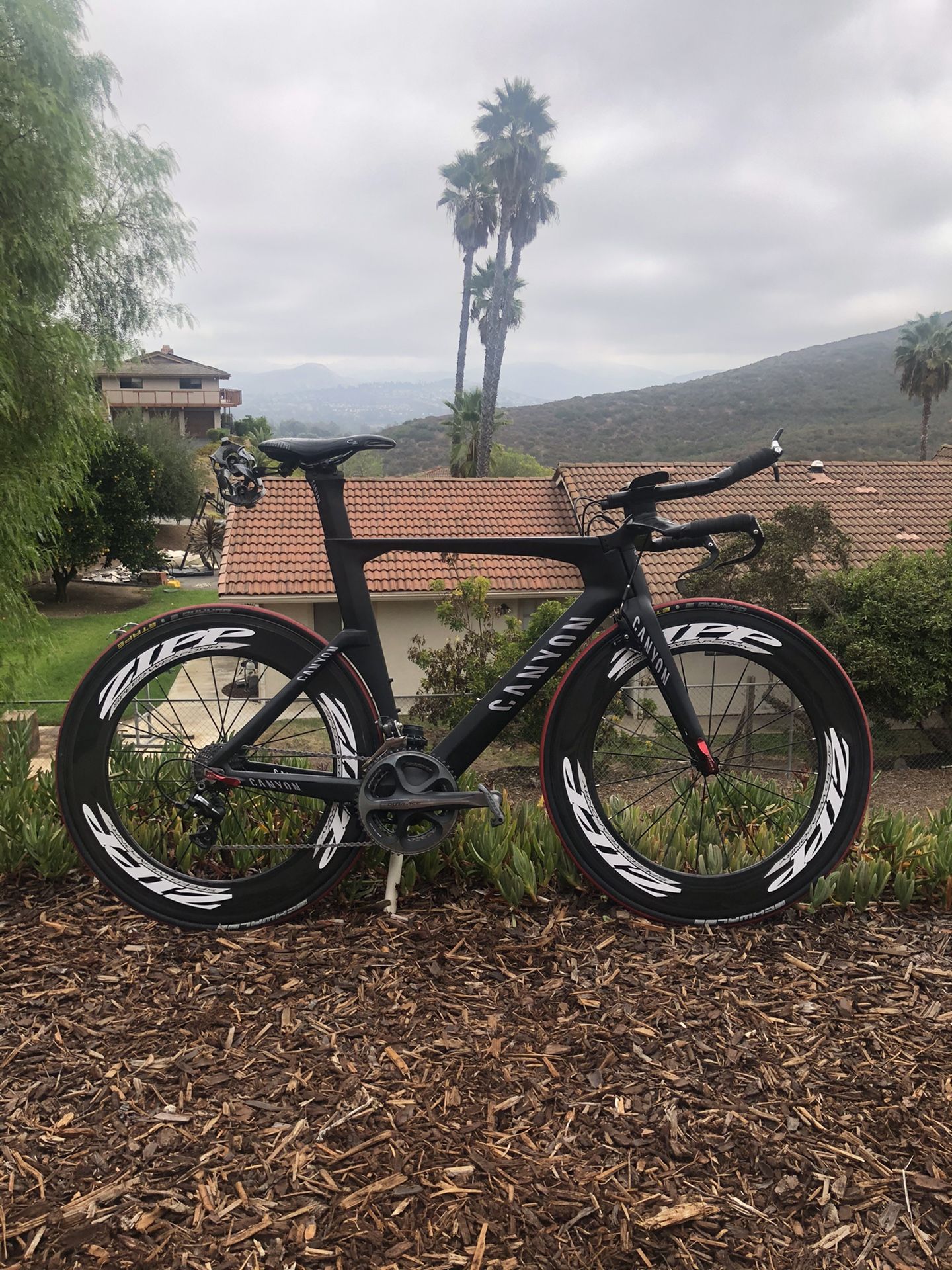 Time trial bike, full carbon, dura ace components, large / 56cm custom ...