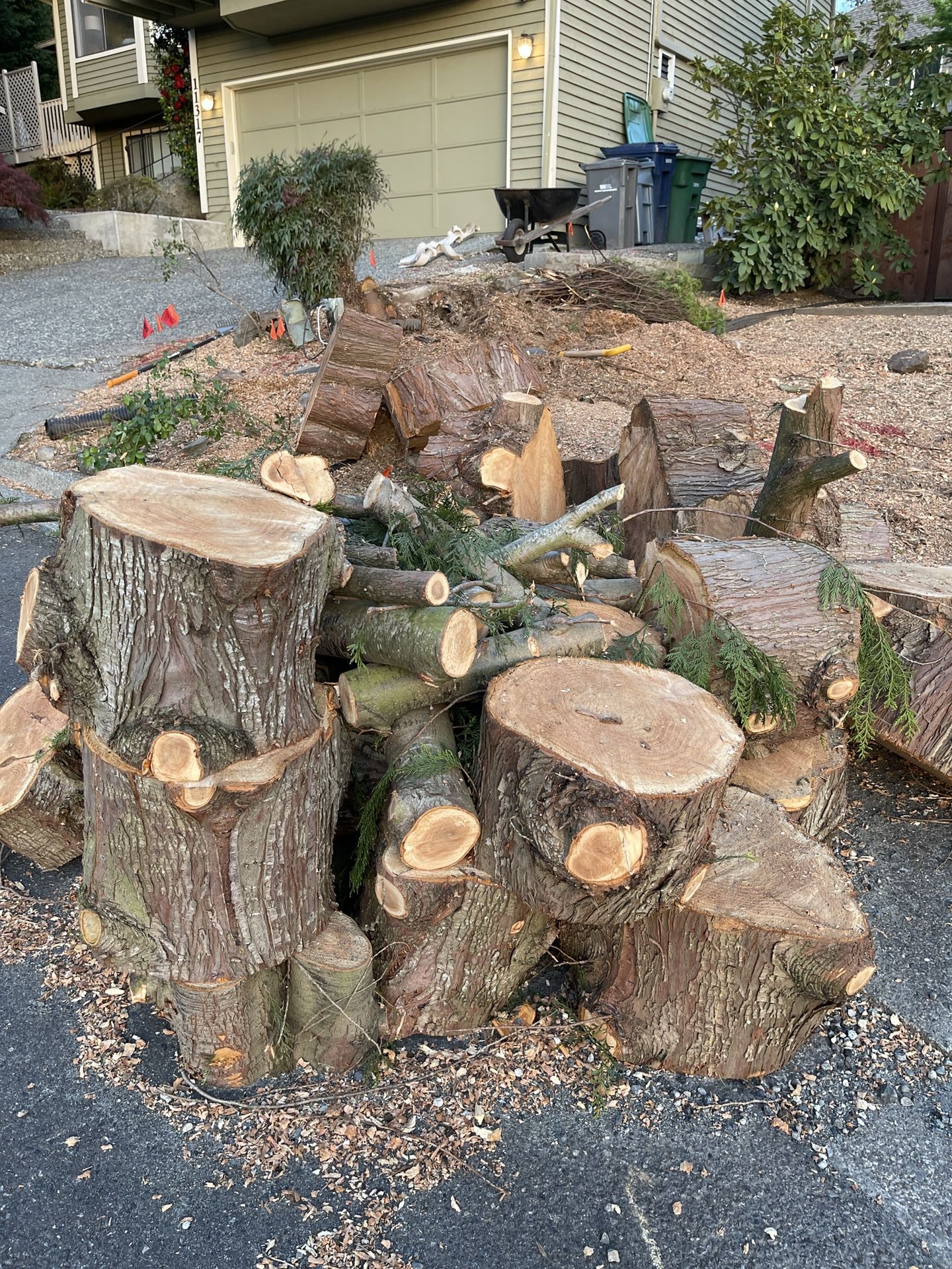 Red Cedar Rounds For Pick Up $FREE First Come First Serve for Sale in ...