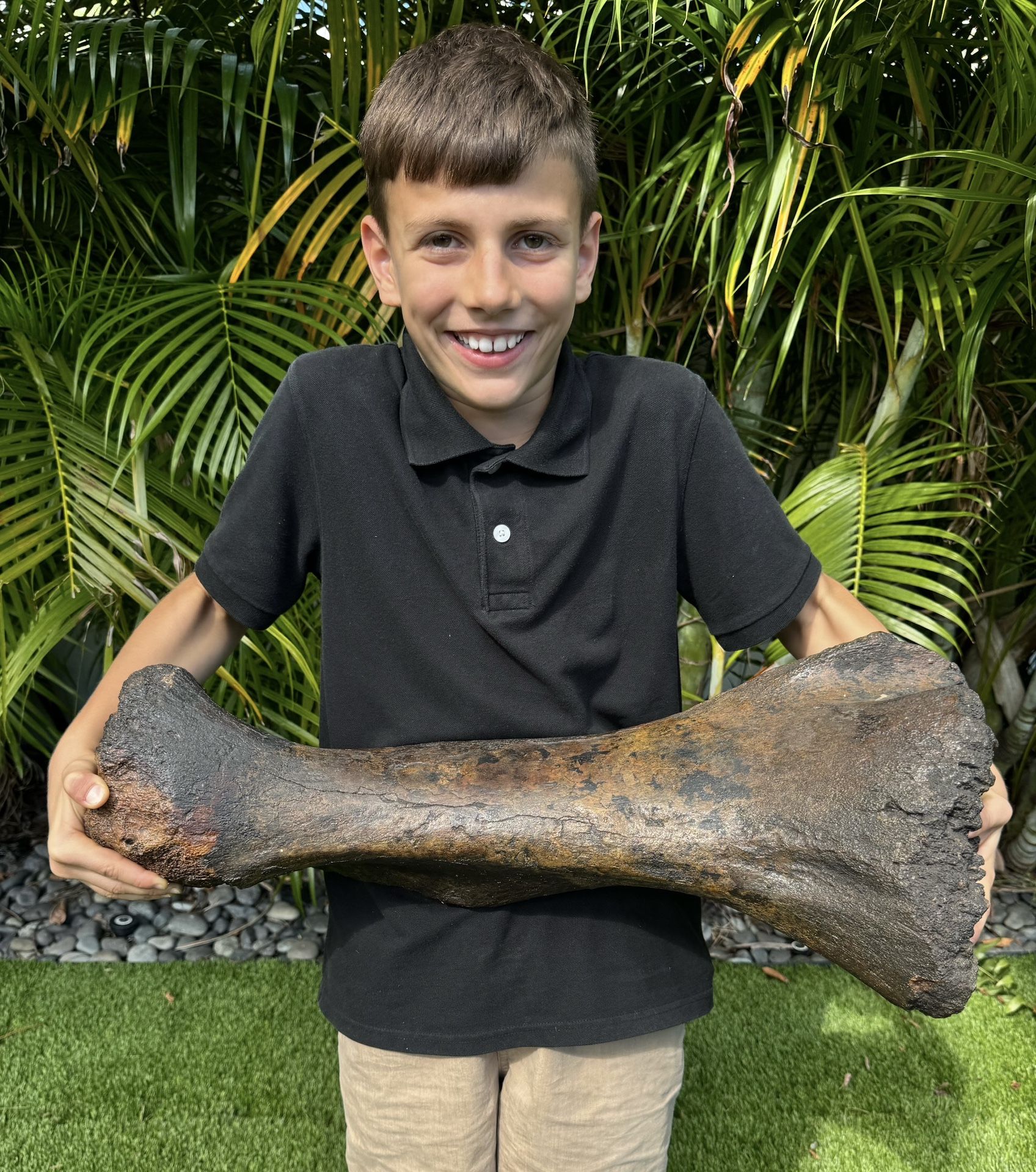 MONSTER 23lb MASTODON HUMERUS LEG BONE FLORIDA FOSSILS ICE AGE. for ...