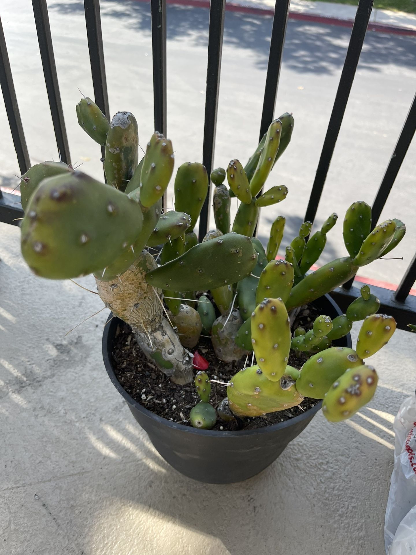 Pick Up Today As Soon As Possible for Sale in Corona, CA - OfferUp