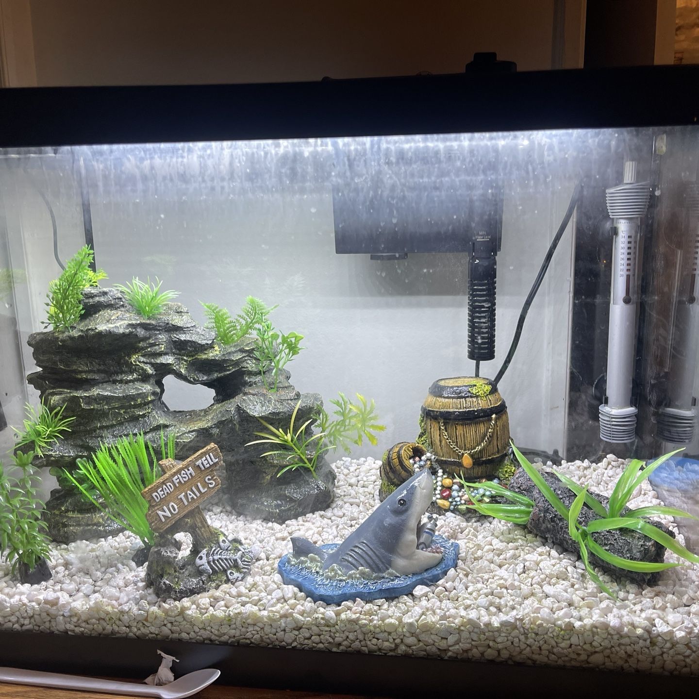 Fish Tank Decoration Ideas 20 Gallon