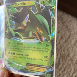 Sceptile Card