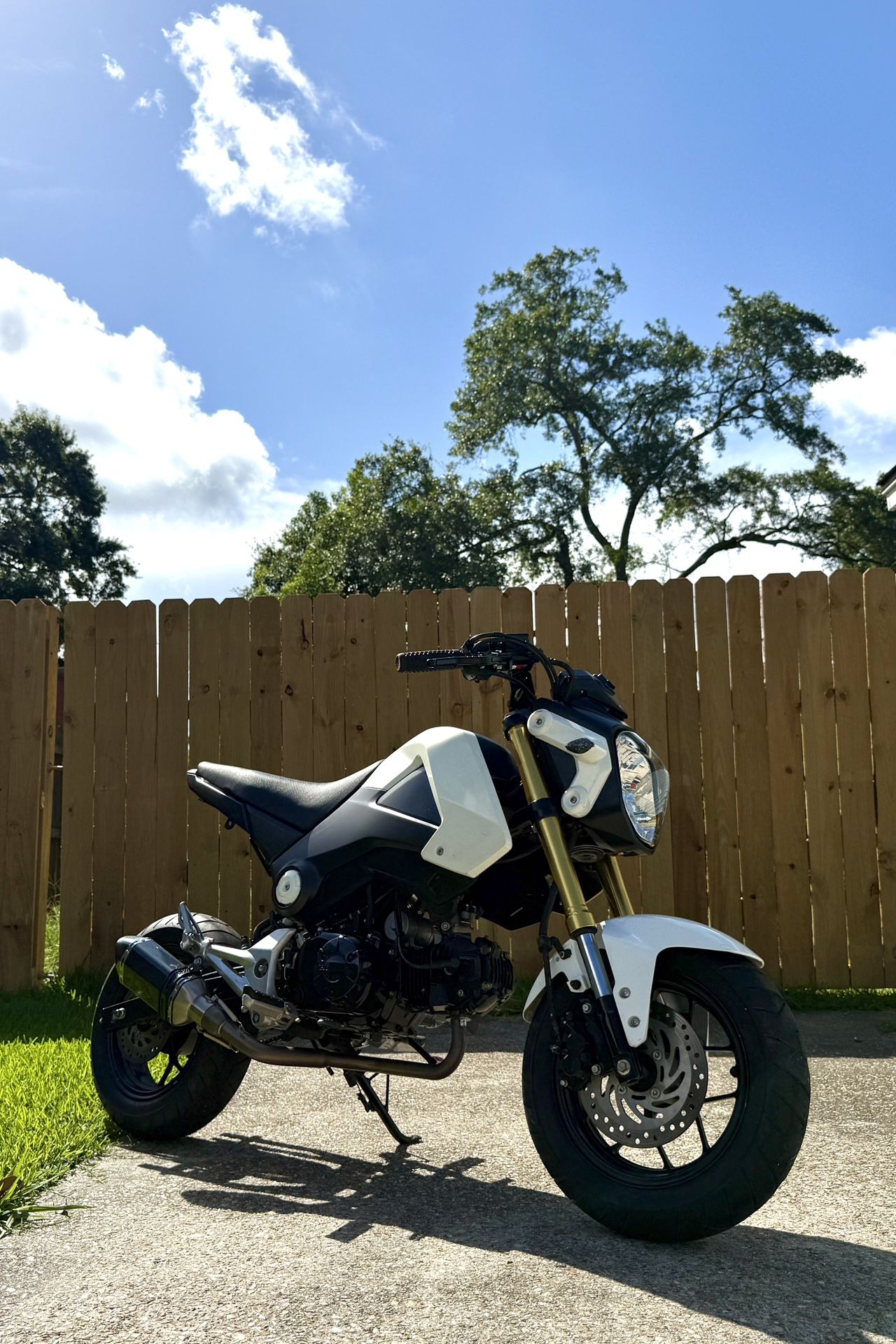 2015 Honda Grom for Sale in Houston, TX - OfferUp