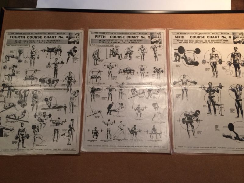 Joe Weider Training Principles
