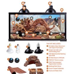 Bearded Dragon Habitat Kit