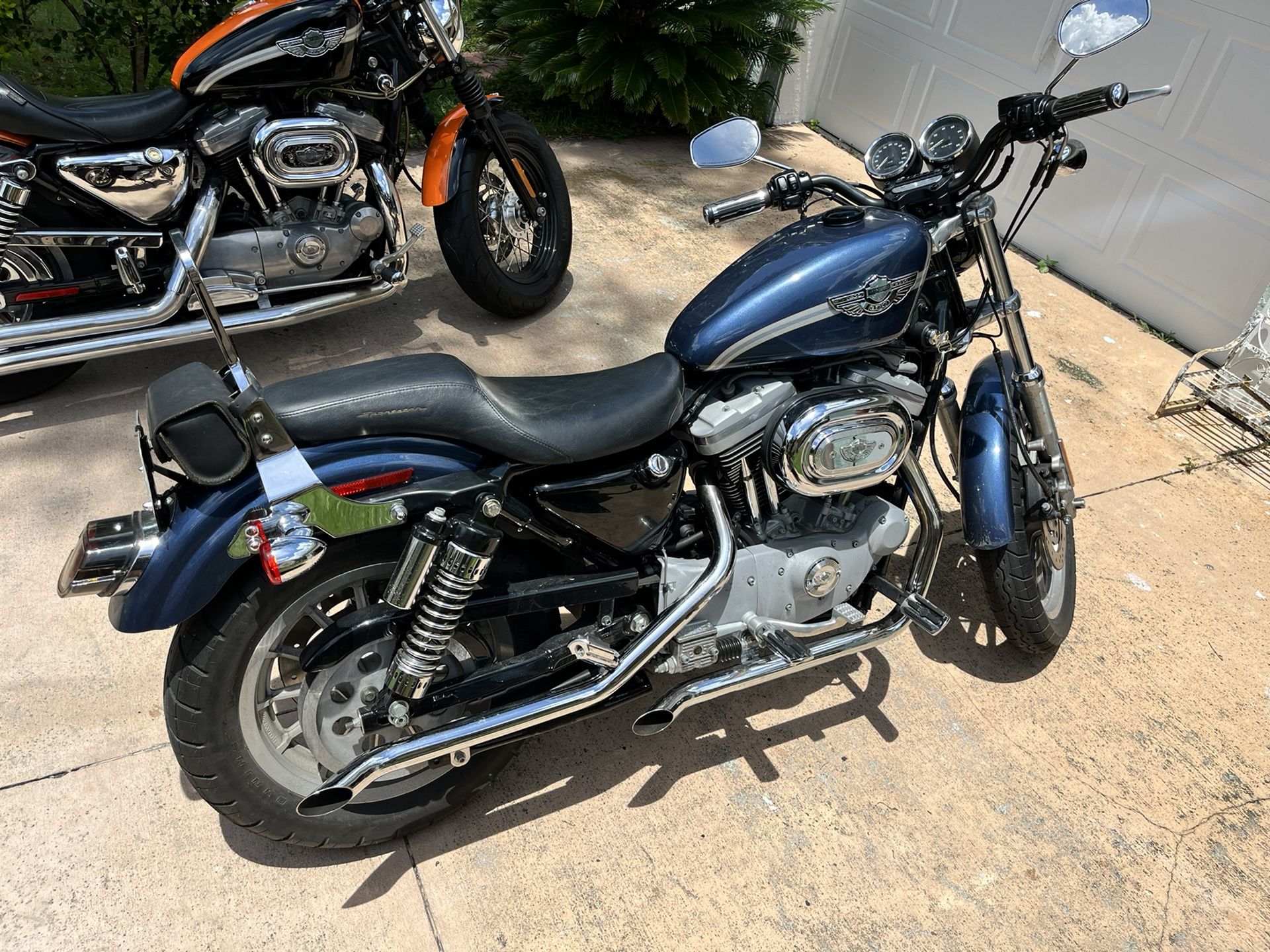 2003 Harley Davidson Sportster Sport for Sale in Land O' Lakes, FL ...