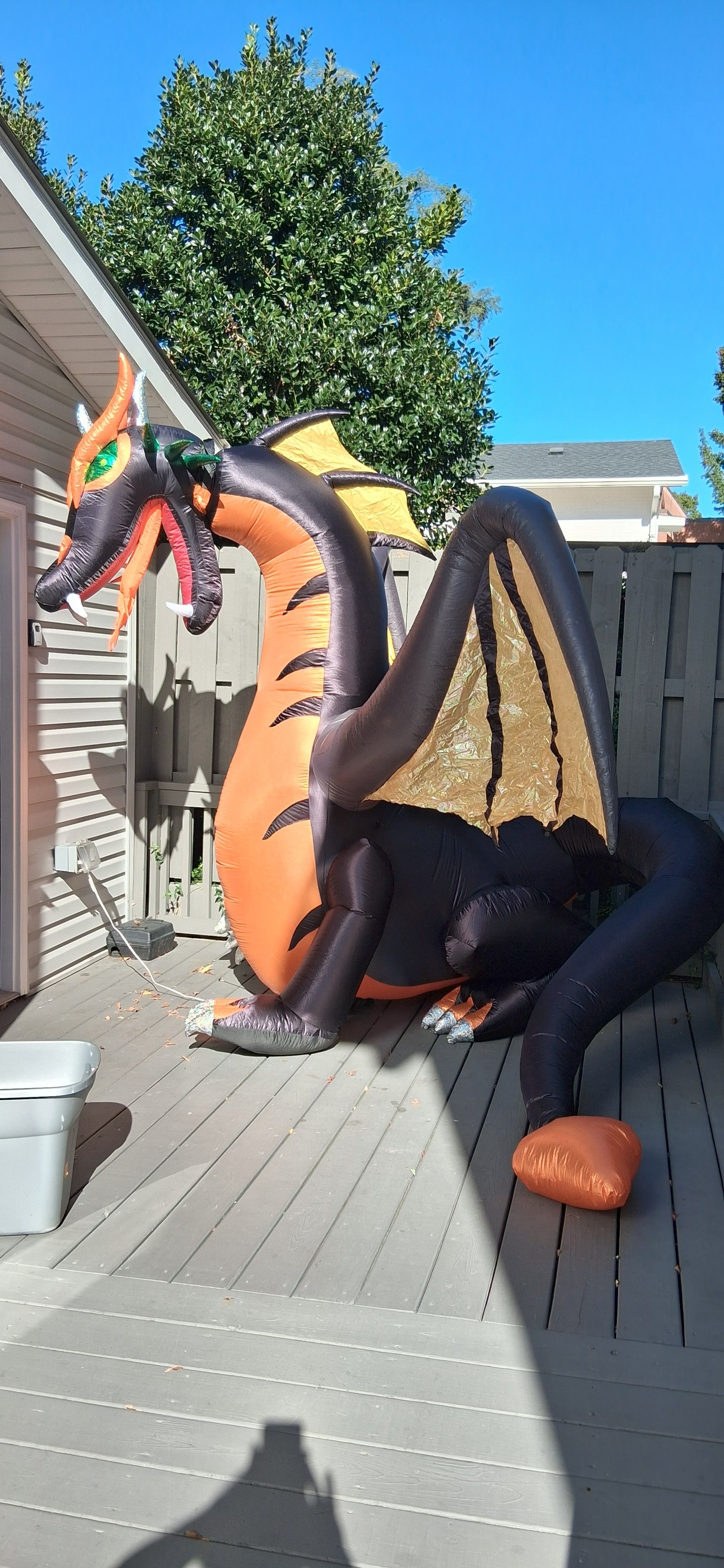 Animated Projection Air blown Fire & Ice Inflatable Dragon for Sale in ...