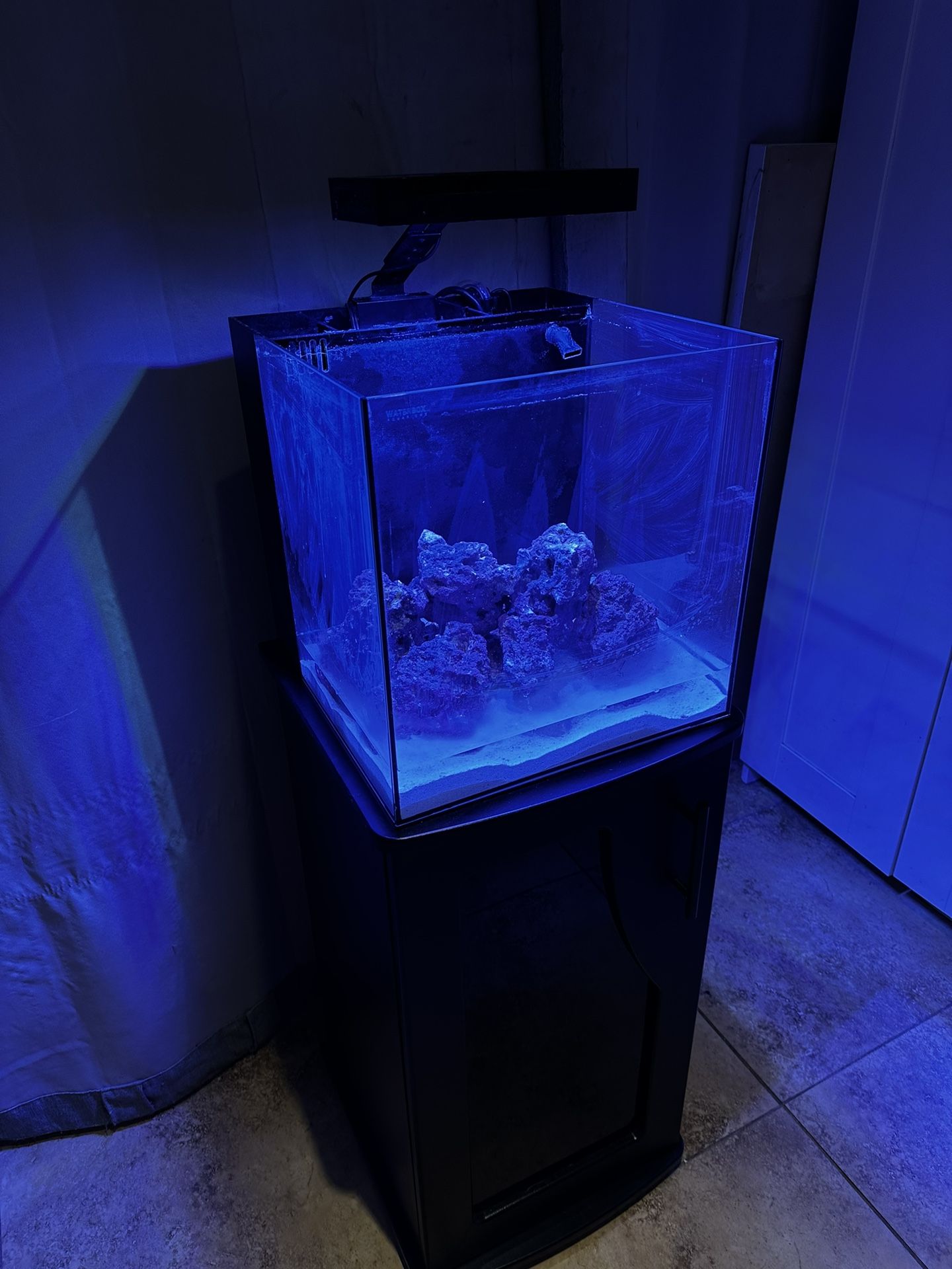 Waterbox 10 Gallon Micro Saltwater Reef Tank Setup for Sale in ...
