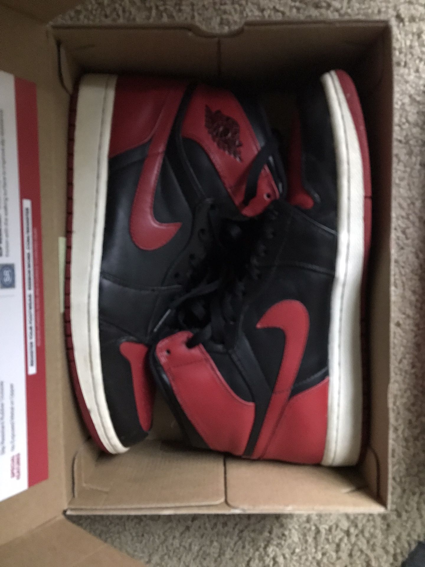Bred 1’s for Sale in San Antonio, TX - OfferUp
