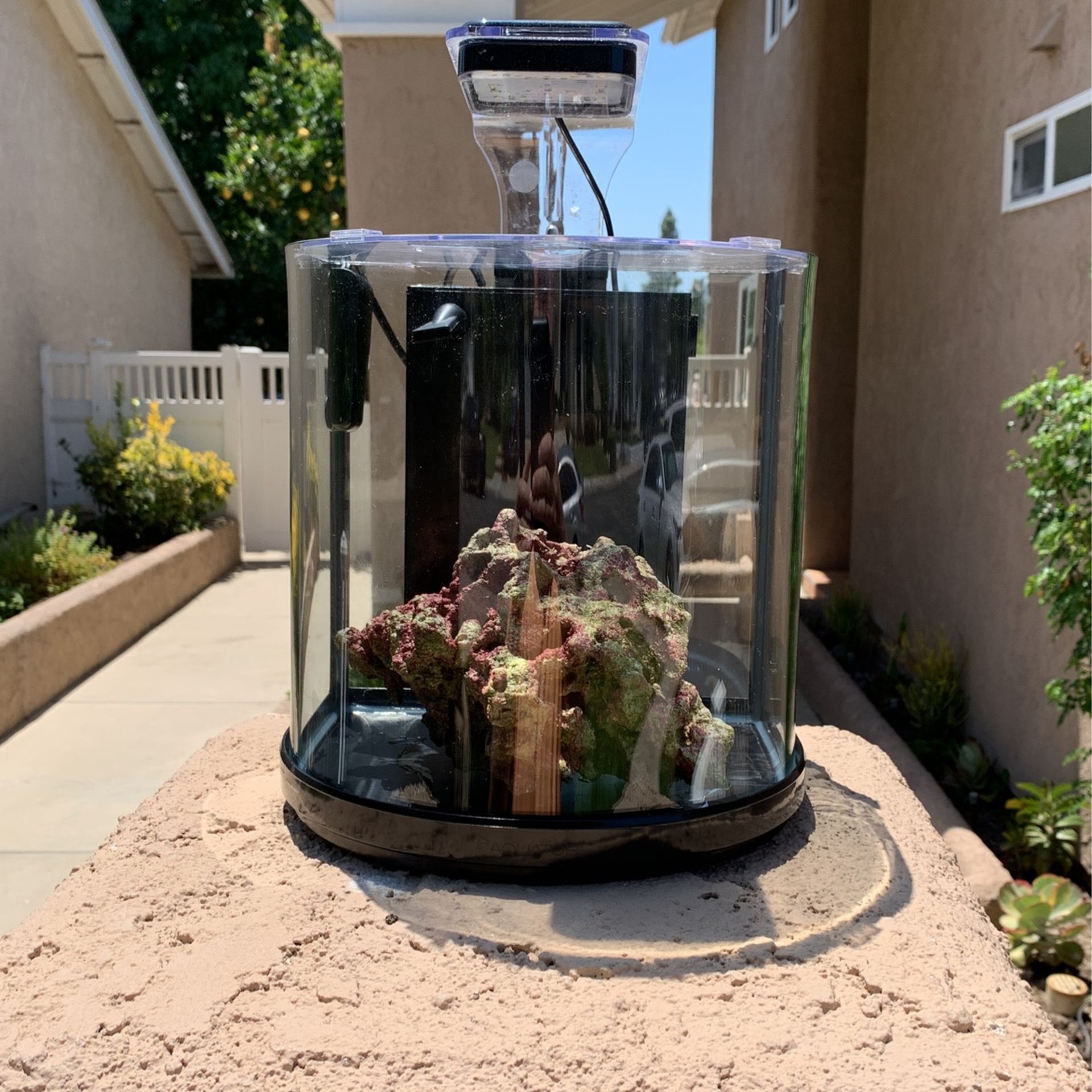 5 Gallon Salt or Freshwater Aquarium for Sale in Mission Viejo, CA ...