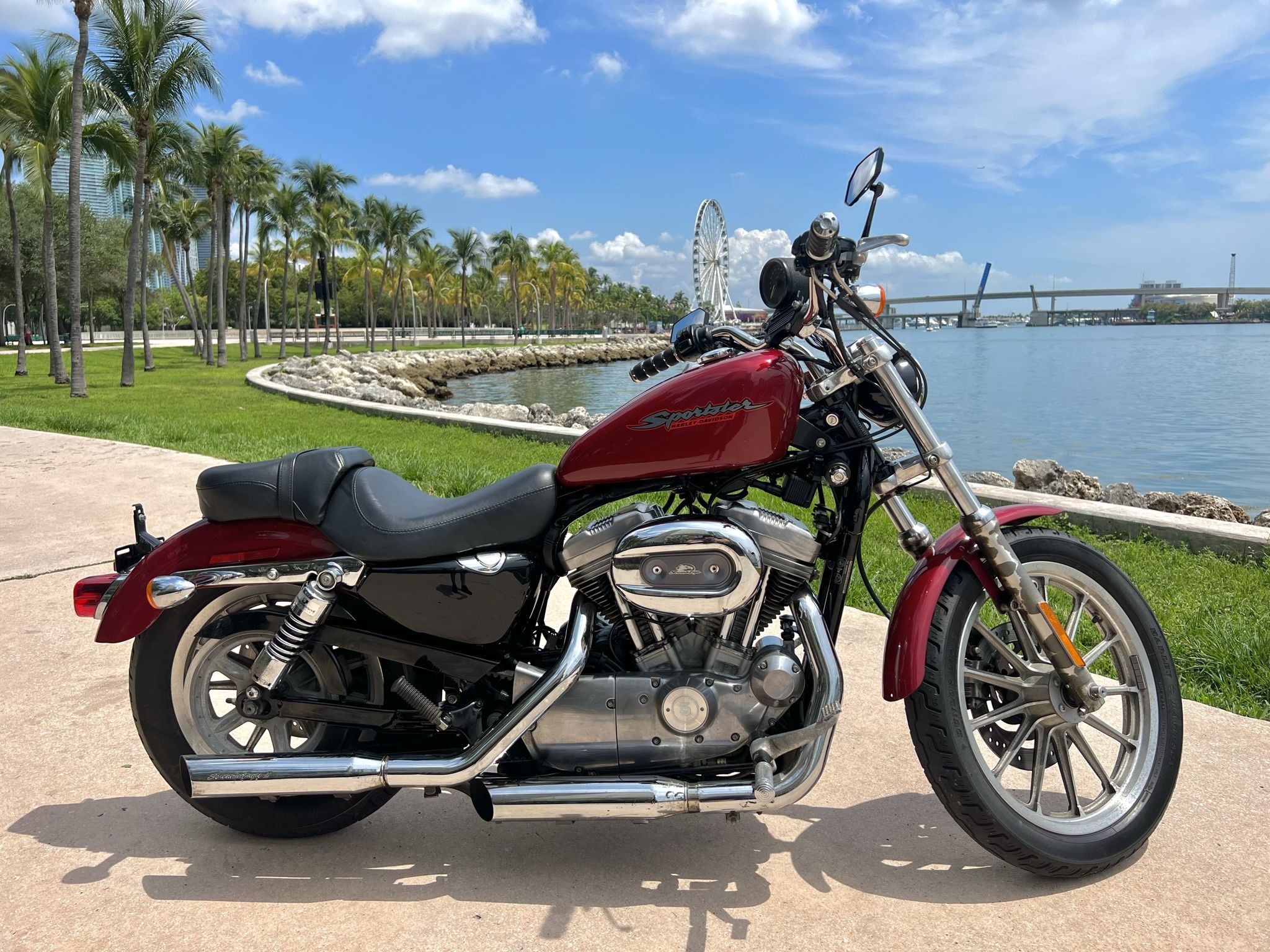 Hd Sportster 883 For Sale