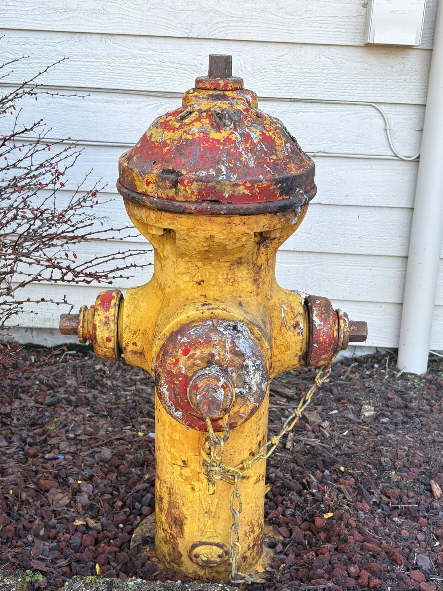 Fire hydrant for Sale in Sumner, WA - OfferUp