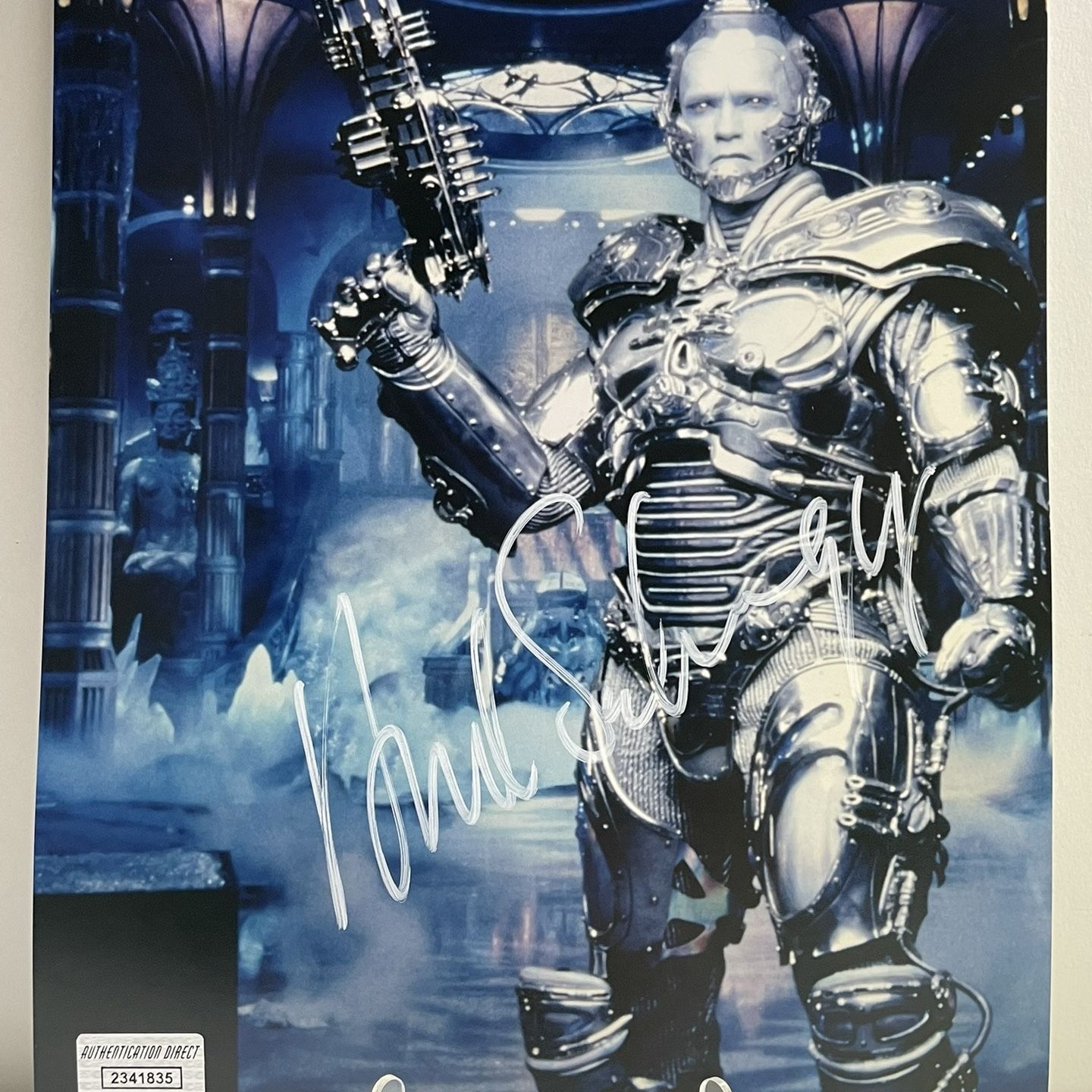 Arnold Schwarzenegger Mr Freeze