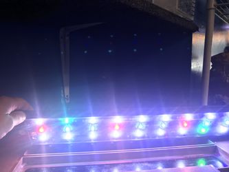 44 gallon corner Pentagon Aquarium fish tank complete $300 for Sale in ...