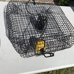 Crawfish Trap