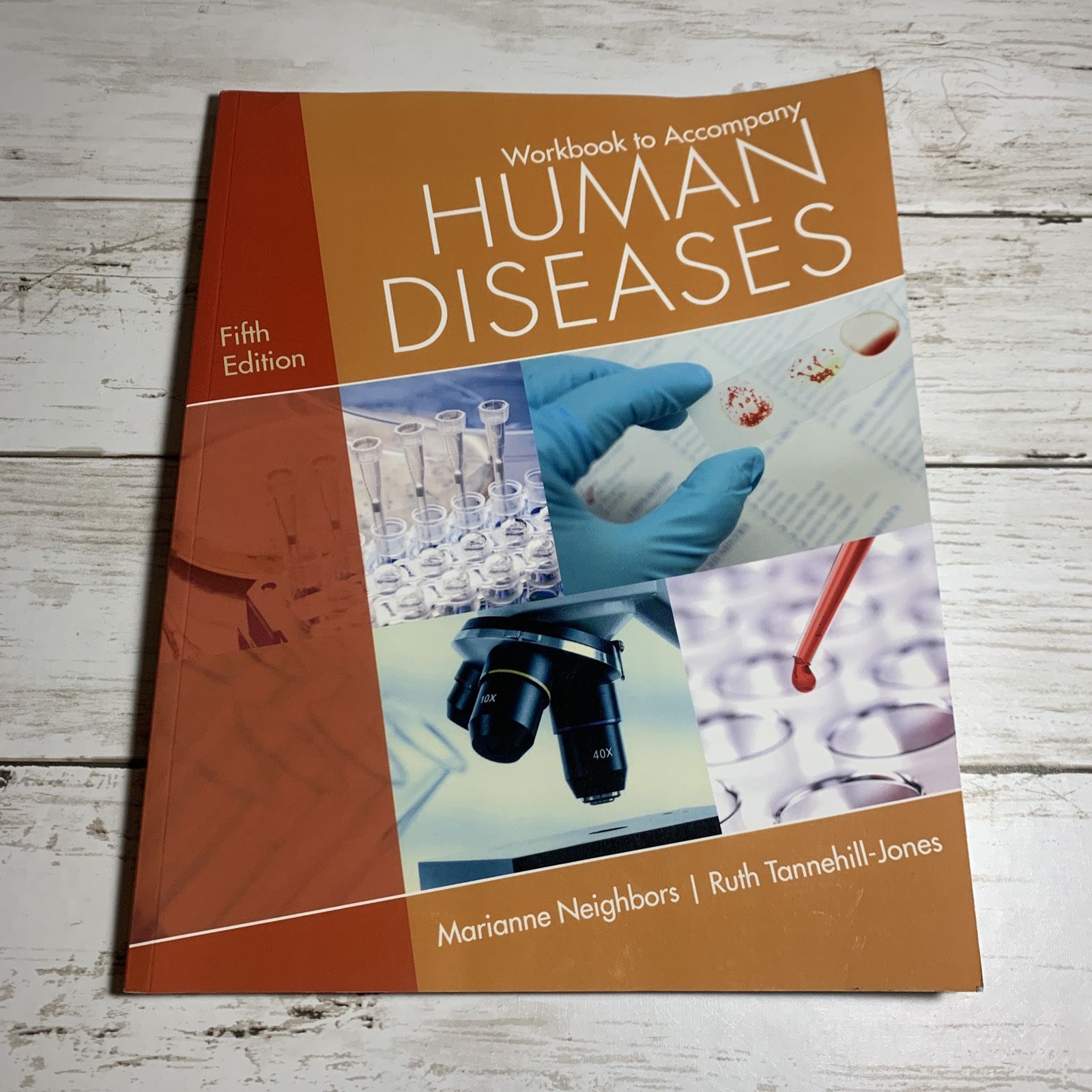 Student Workbook For Neighbors Tannehill Jones Human Diseases 5th By 
