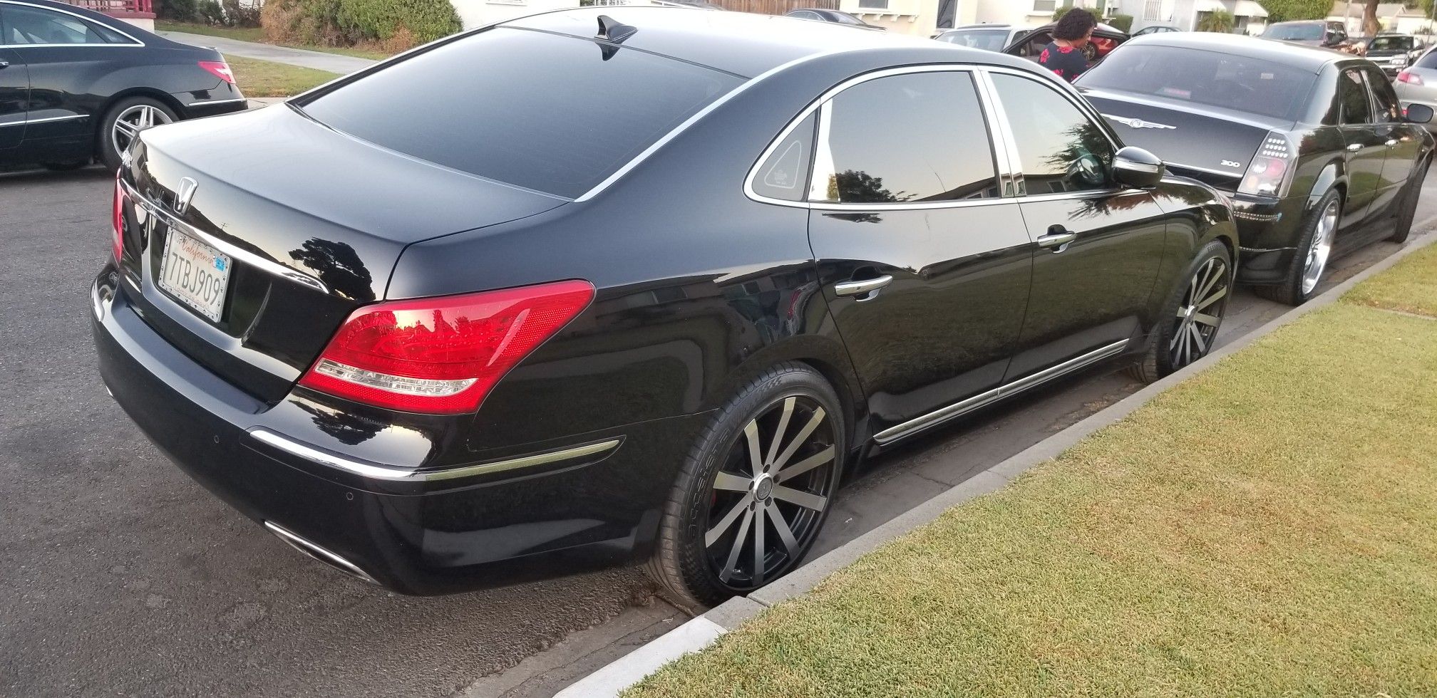 Equus Black on Black for Sale in Los Angeles, CA - OfferUp