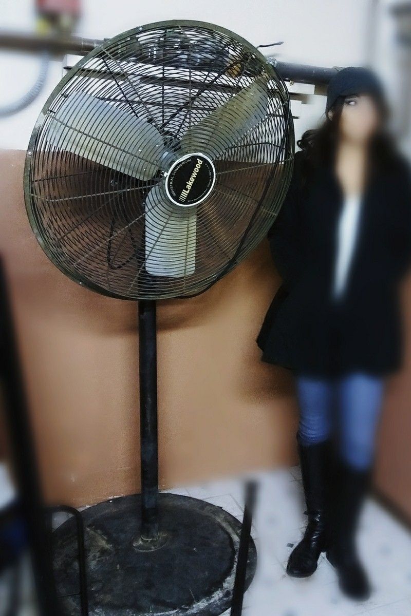 Large Industrial fan - 6 feet +tall on adjustable stand for Sale in ...