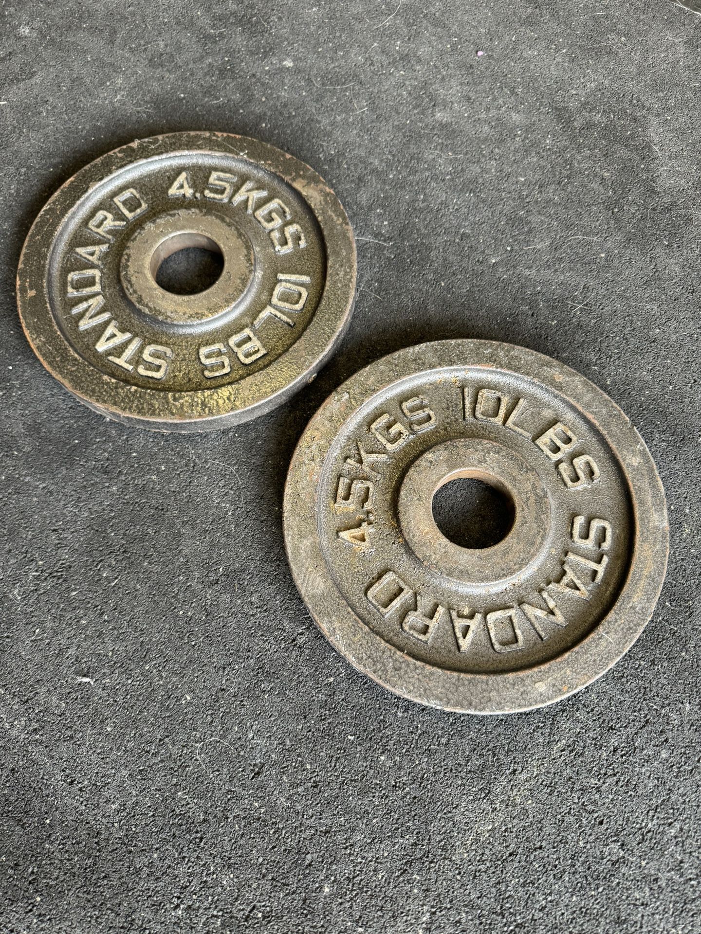 Rogue Fitness standard olympic steel olympic weight plates 10LB pair ...