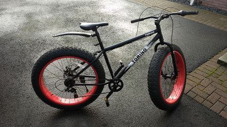 Torino fat tire bike store