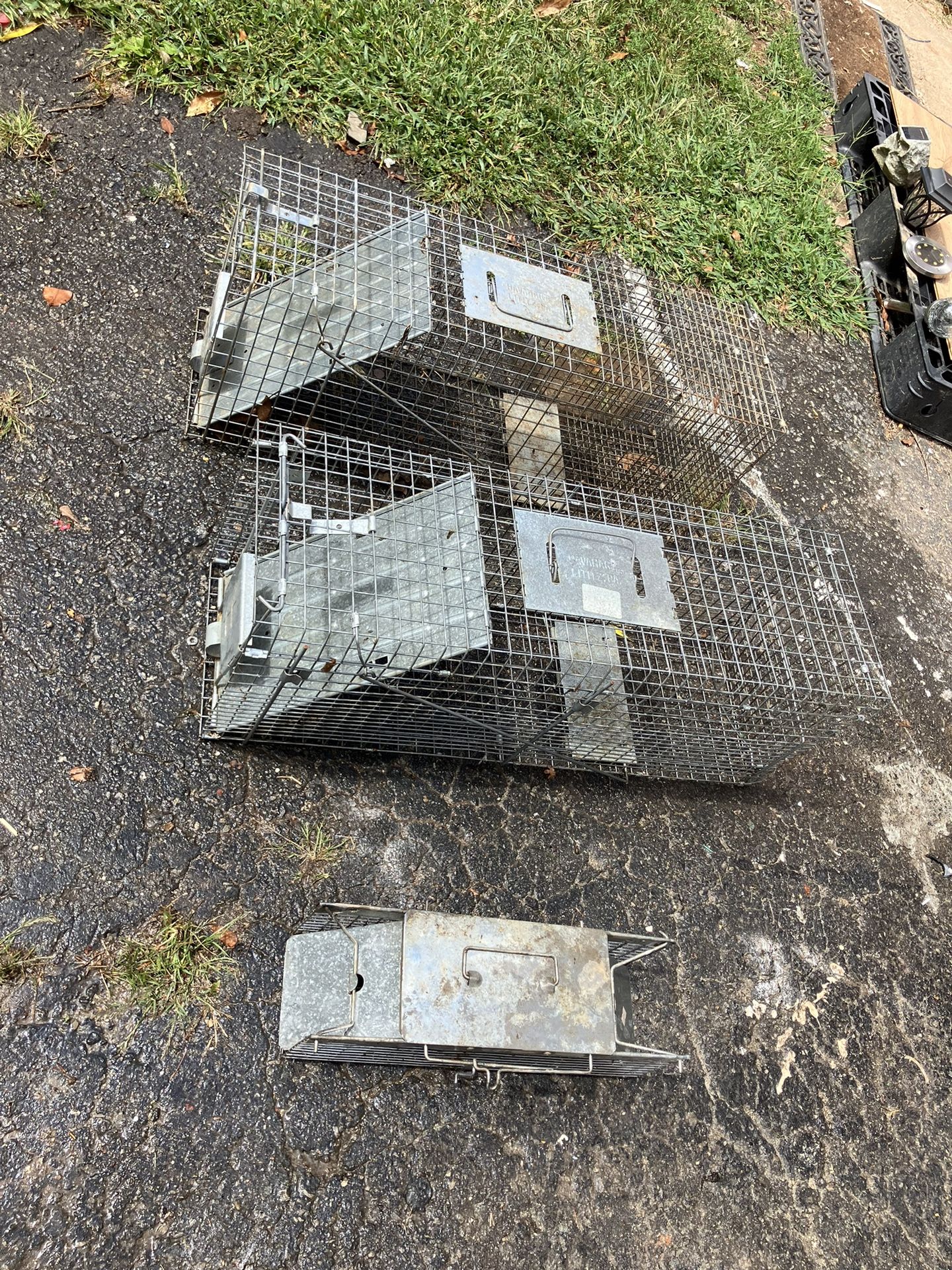 Walk-in Live Traps for Sale in Swannanoa, NC - OfferUp