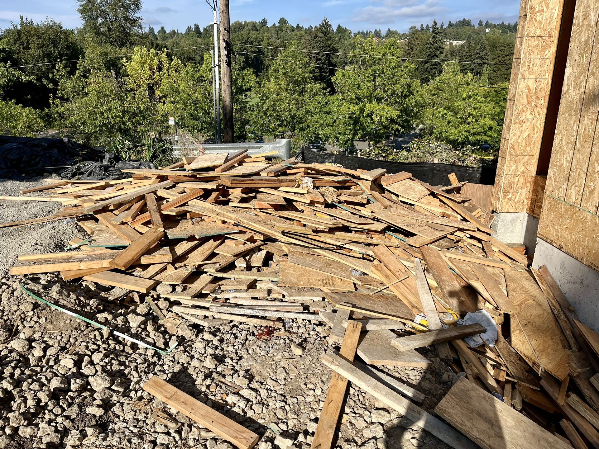 Free scrap / Clean Wood for Sale in Seattle, WA - OfferUp