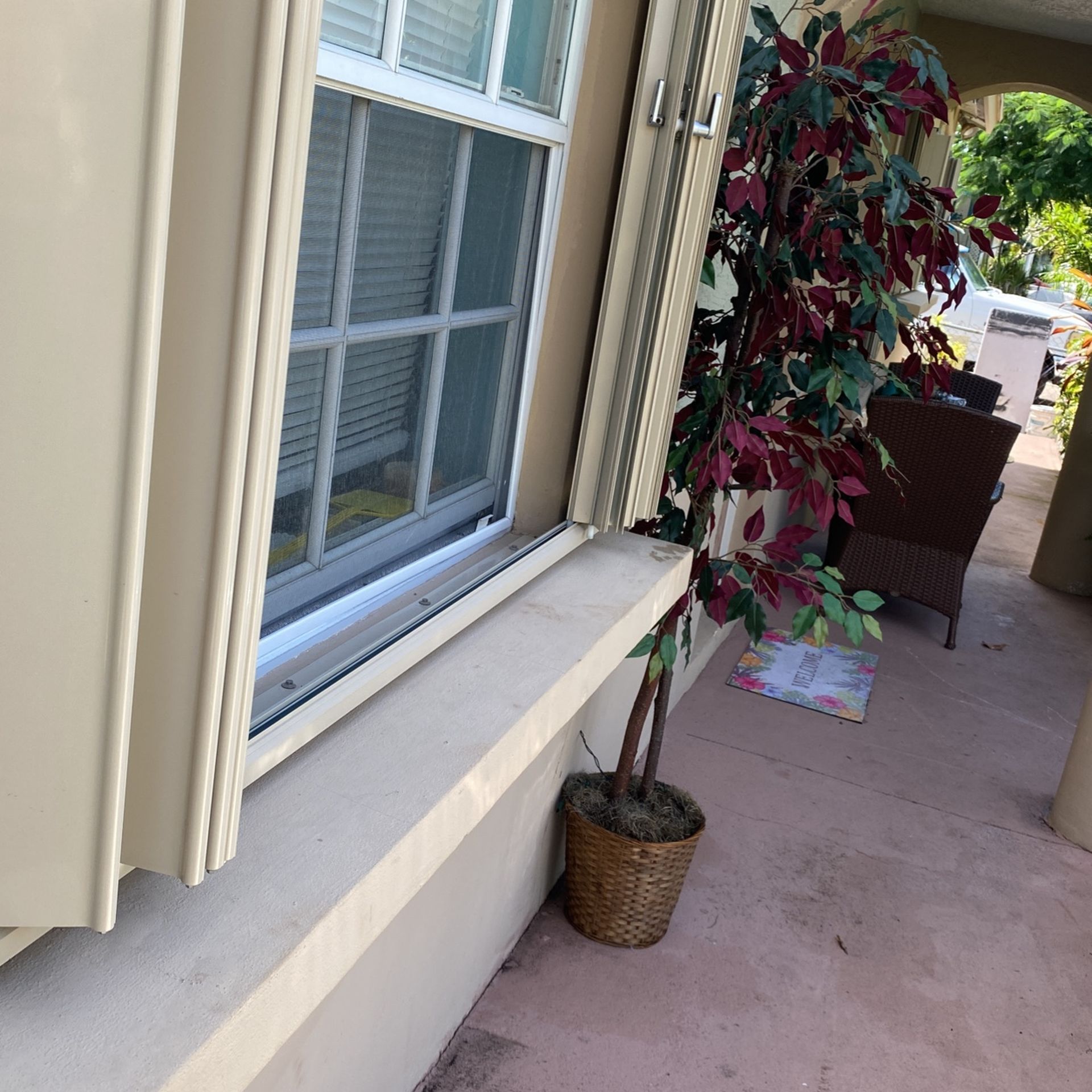 Flower Tree for Sale in Lake Worth, FL - OfferUp