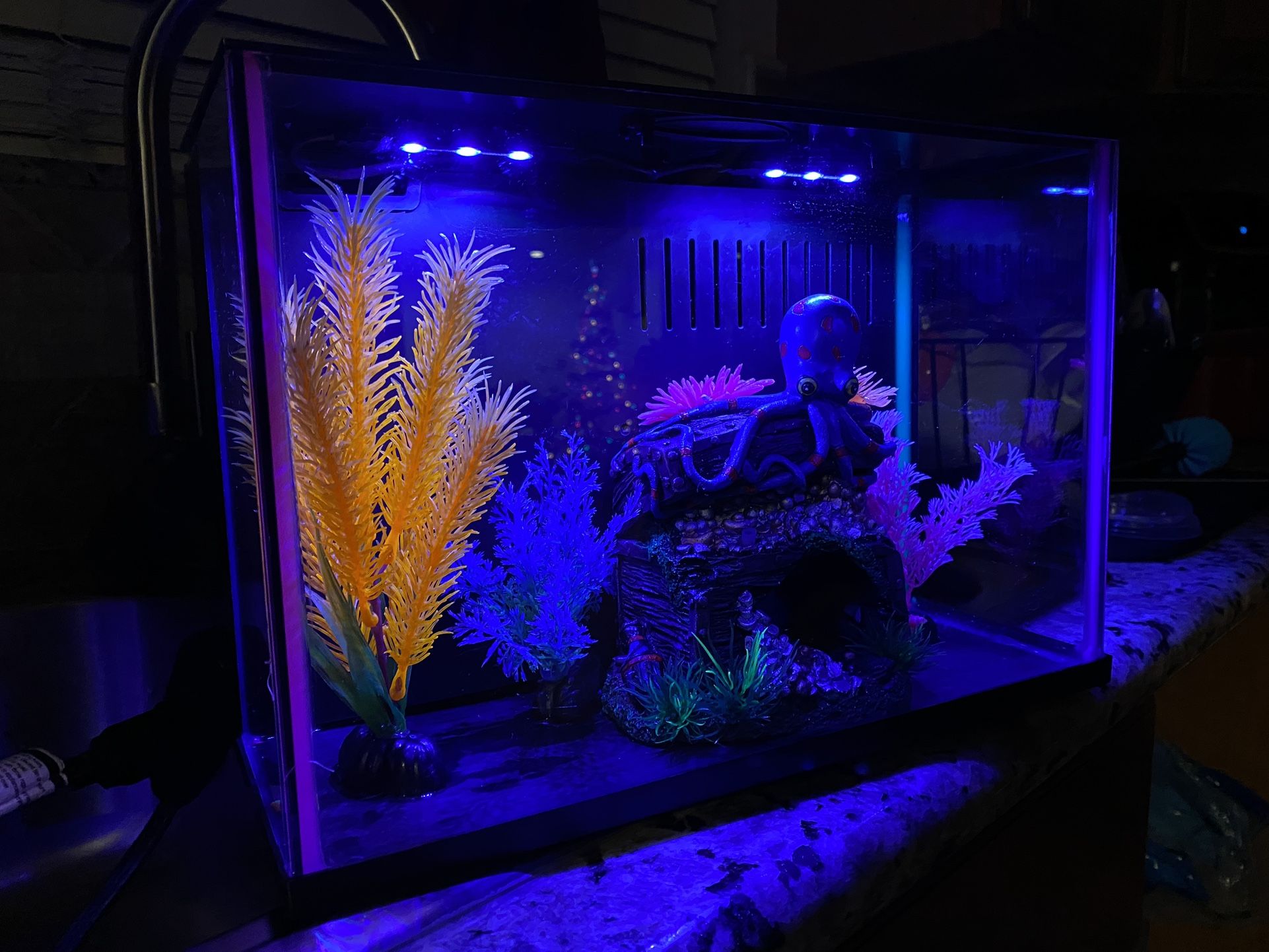 Glofish Tank With Accessories for Sale in Stockton, CA - OfferUp