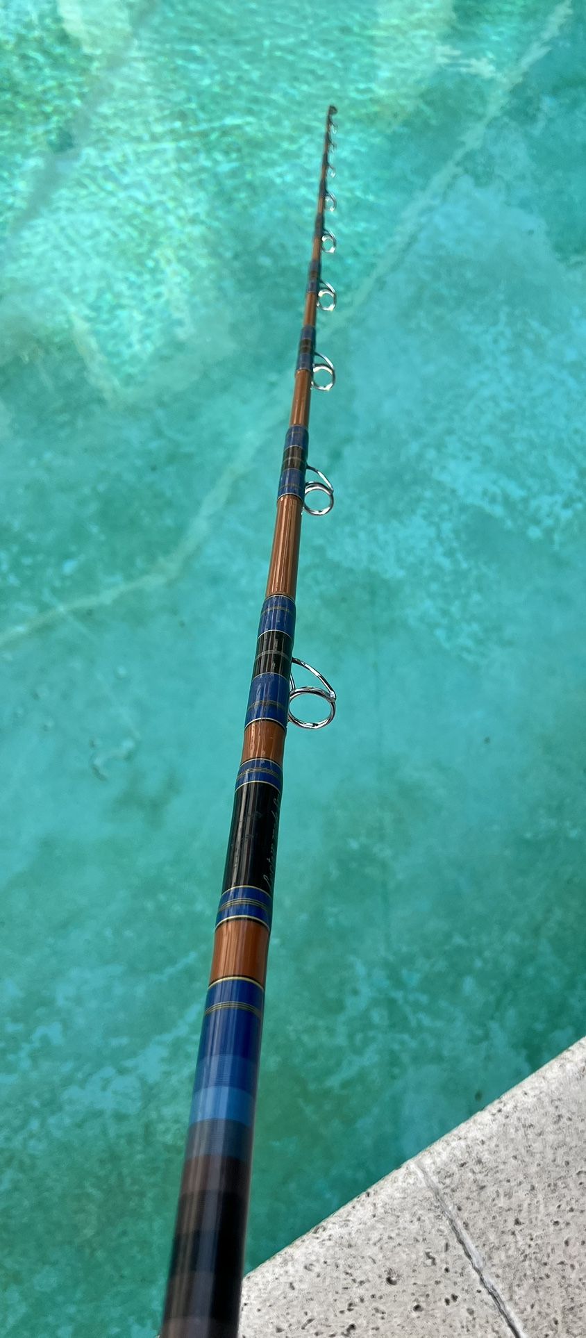 Custom Calstar 970, Daiwa Sealine 30x, Salwater Fishing Rod Reel Combo ...