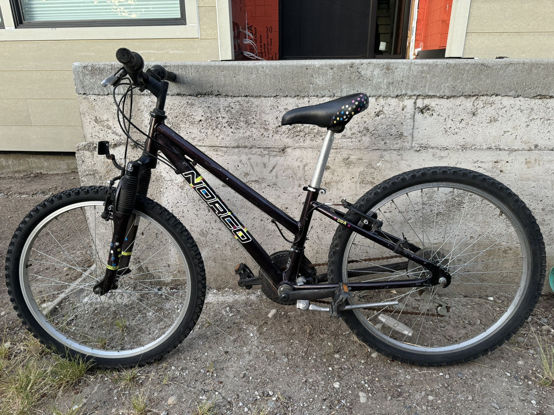 Norco Girls Bike 24” Wheels for Sale in Mercer Island, WA - OfferUp
