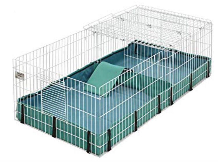 Midwest Guinea Pig Cage For Sale In Olney MD OfferUp midwest-guinea-pig-cage-for-sale-in-olney-md-offerup