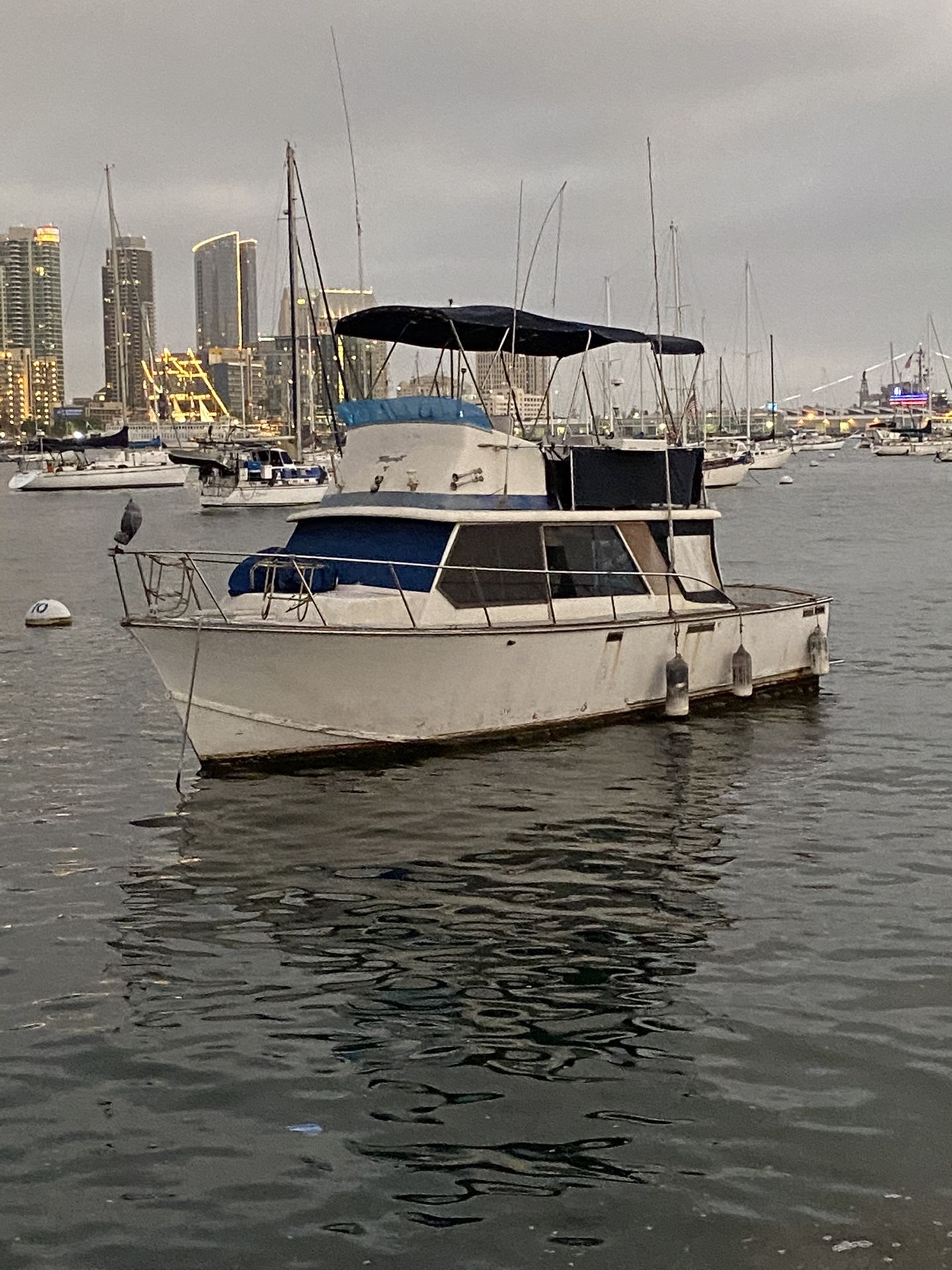 1967 TollyCraft Express Sedan cruiser for Sale in San Diego, CA - OfferUp