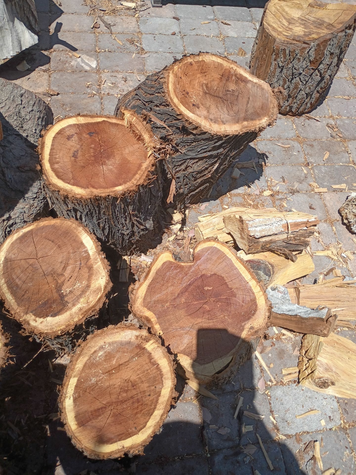 Mesquite Wood ( Wood Burn, cooking, smoking meats) for Sale in Las ...