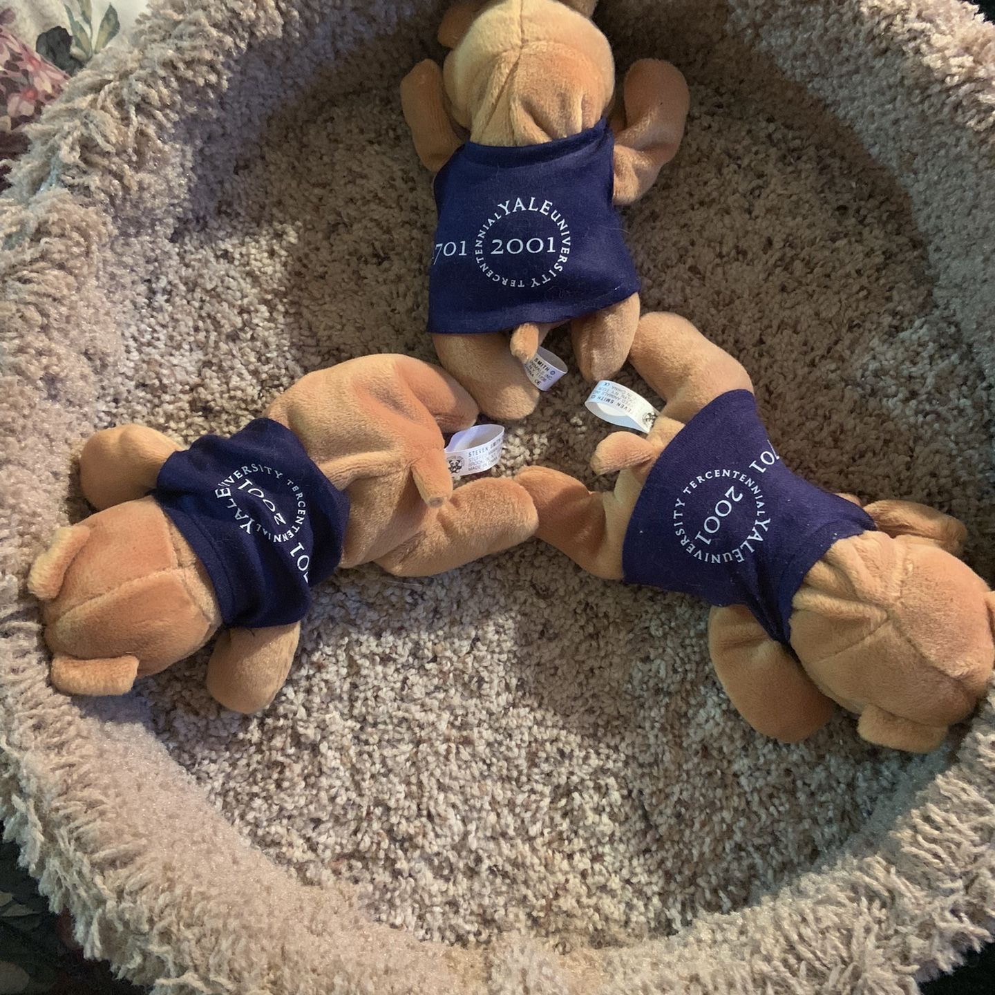 Yale bulldog stuffed animal store