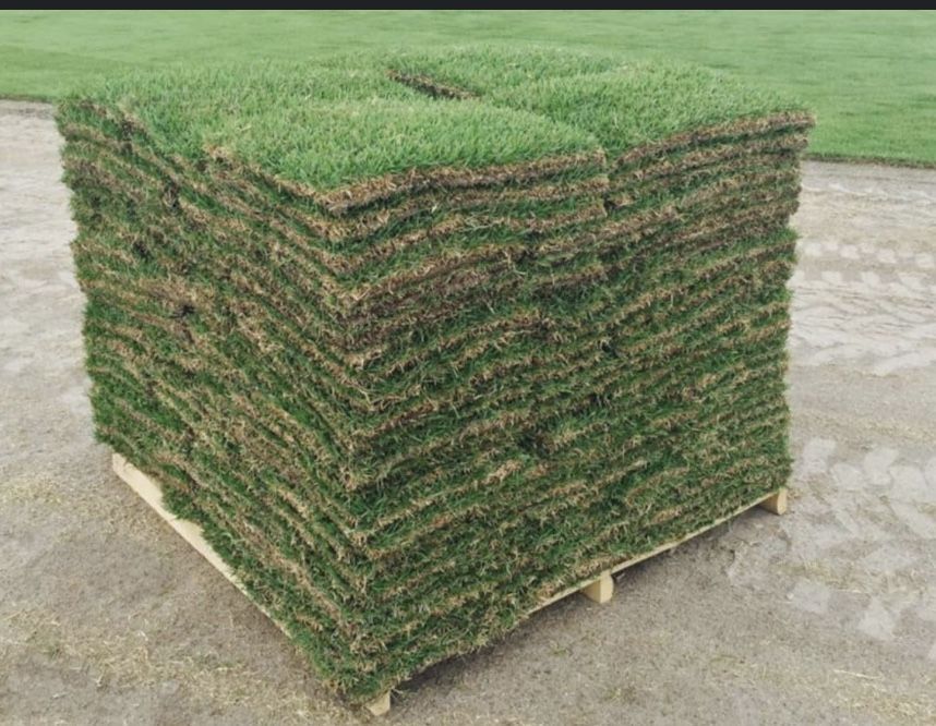 Sod for Sale in Lakeland, FL - OfferUp
