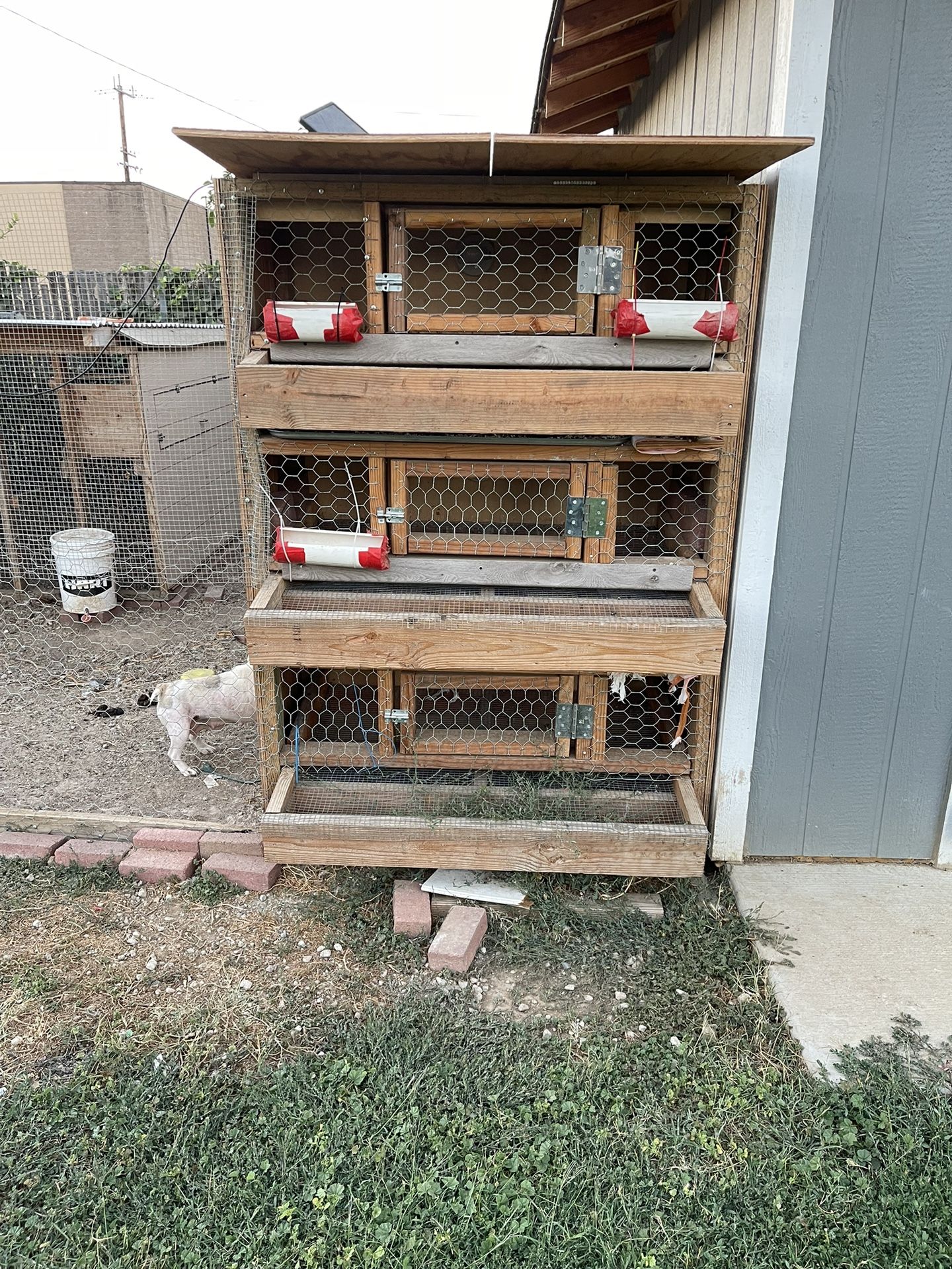 Quail Coop for Sale in Galt, CA - OfferUp