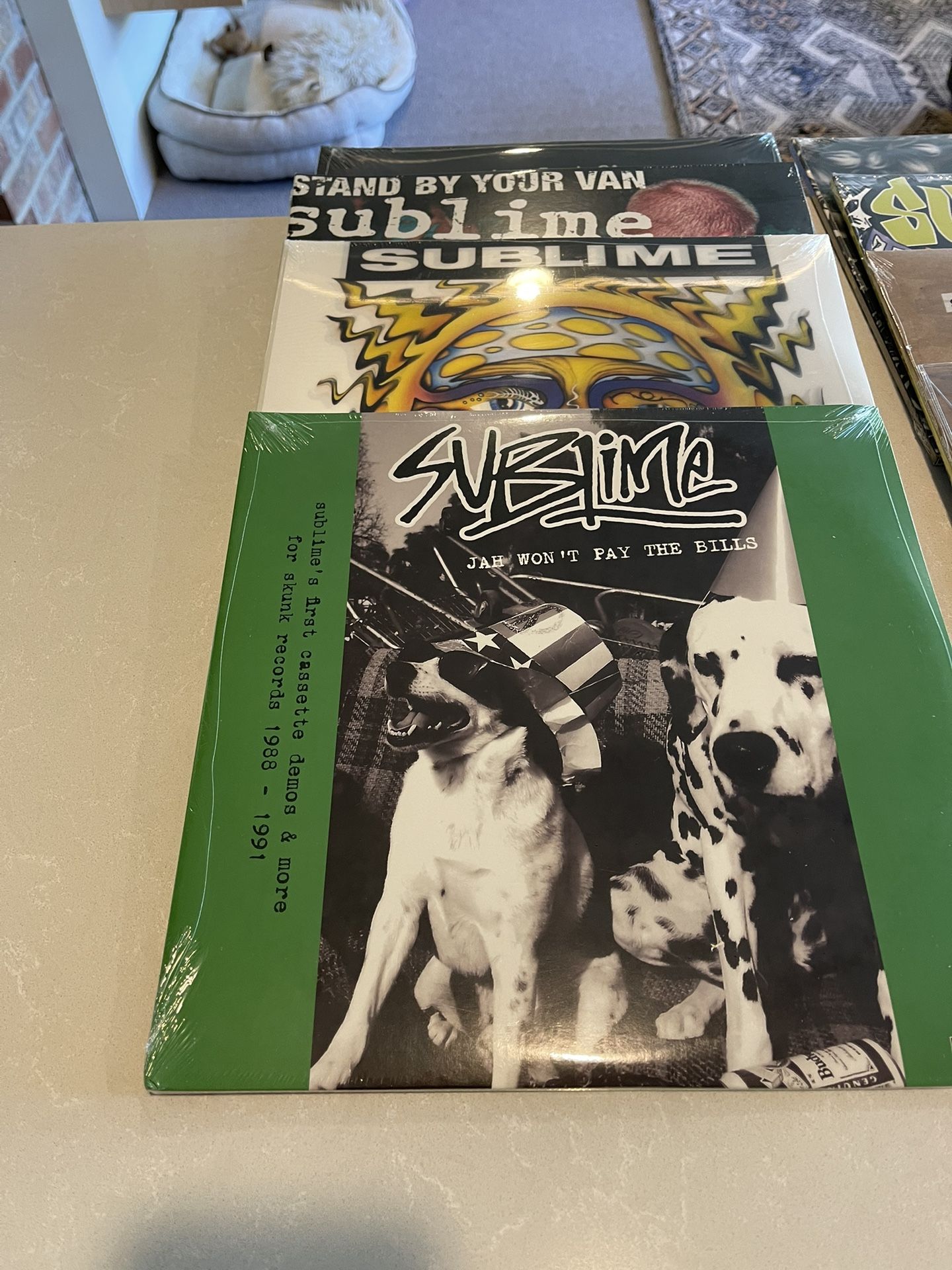 Sublime Stand By Your Van