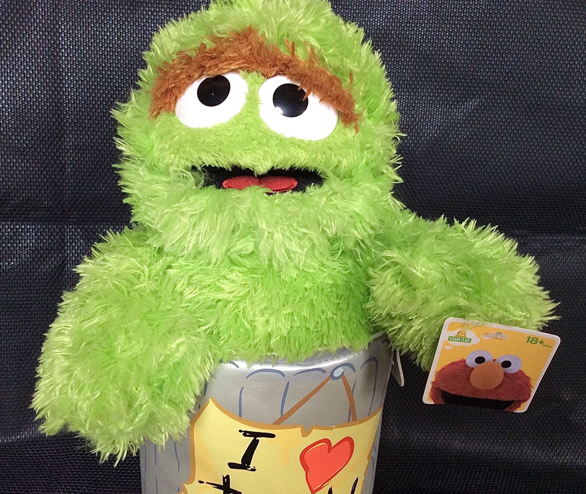Oscar The Grouch In Trash Can